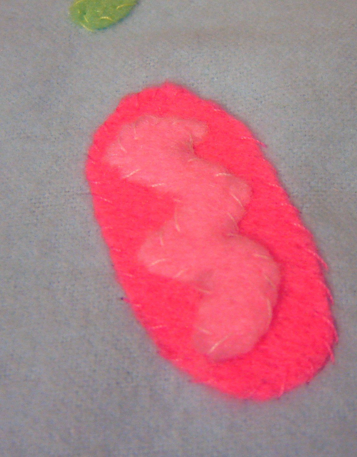 Plush Cell Model : 13 Steps (with Pictures) - Instructables