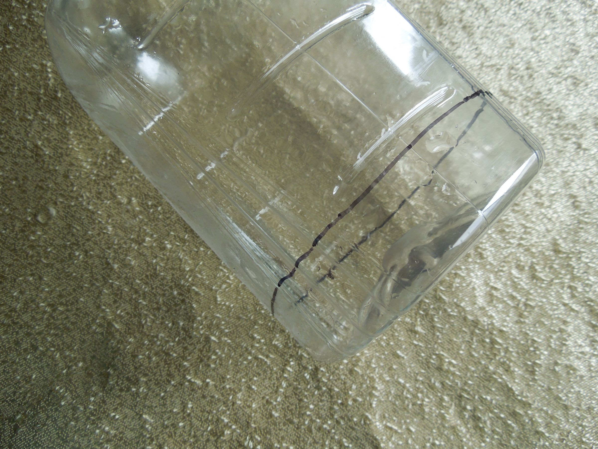 Bottle Bug Puppet! : 13 Steps - Instructables