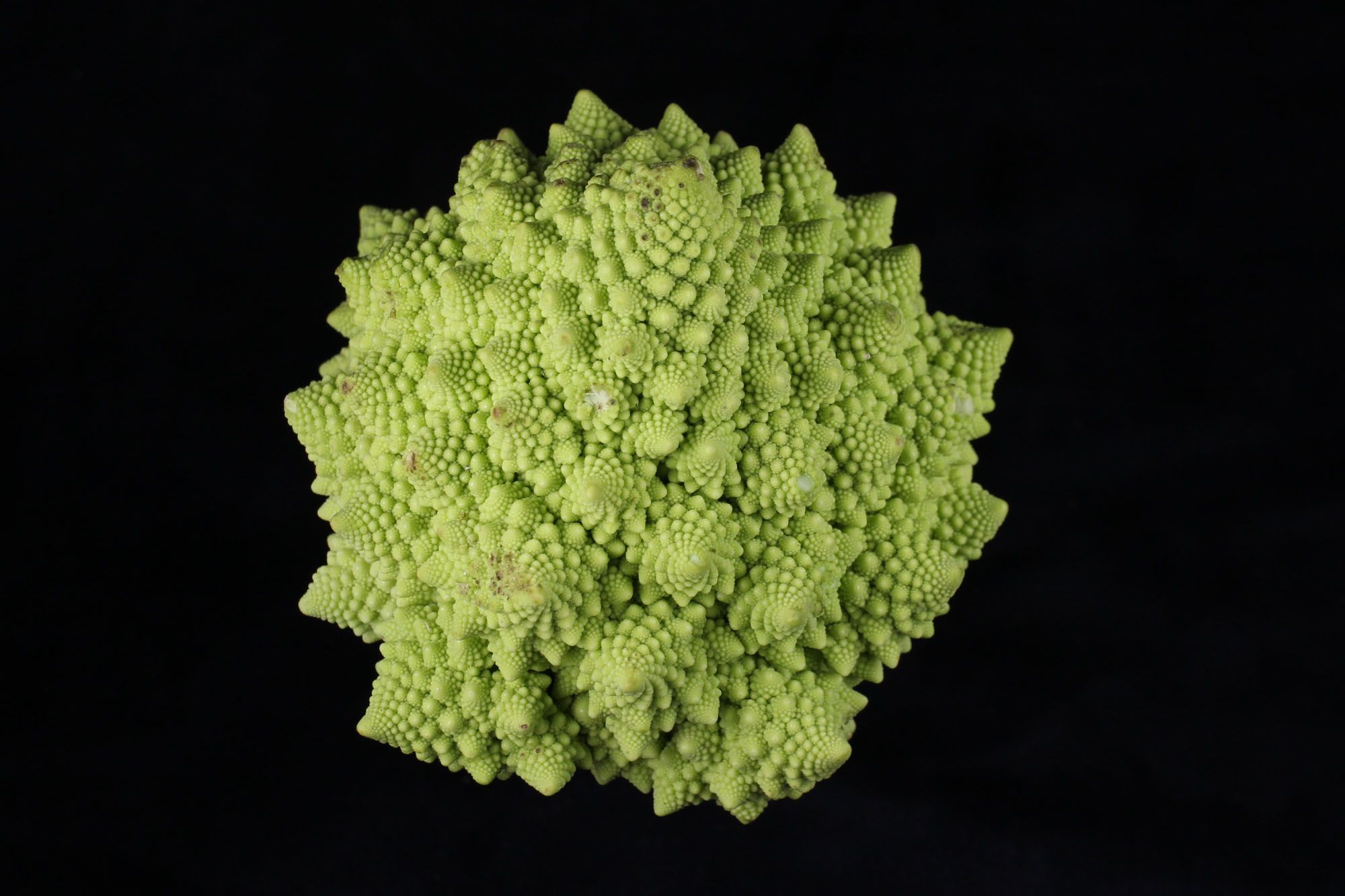 Shooting for Photogrammetry : 8 Steps - Instructables