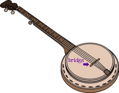 Beginning 5-String Banjo for Guitarists : 5 Steps (with Pictures ...
