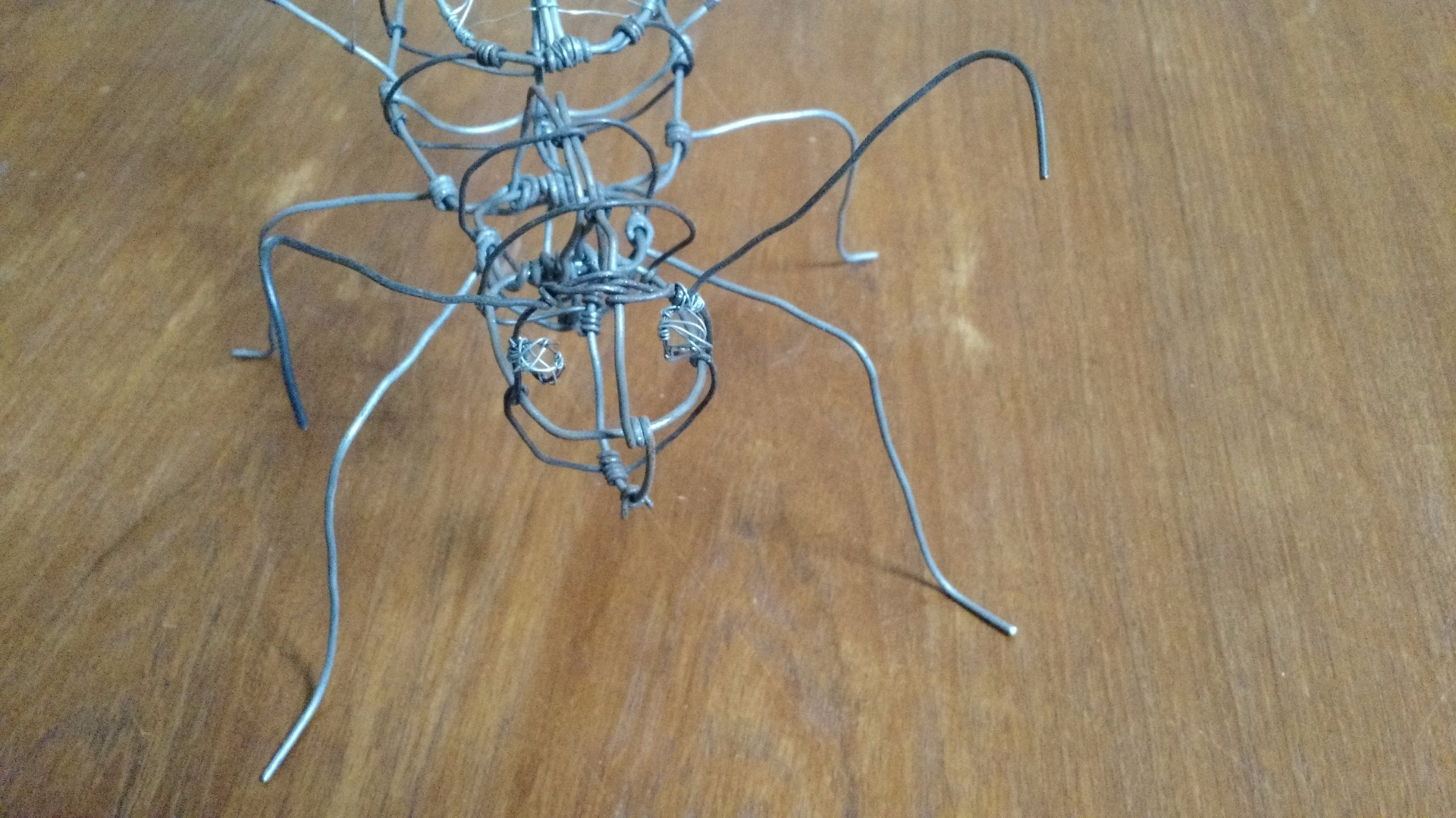 Build a Realistic Insect From Wire : 5 Steps (with Pictures ...