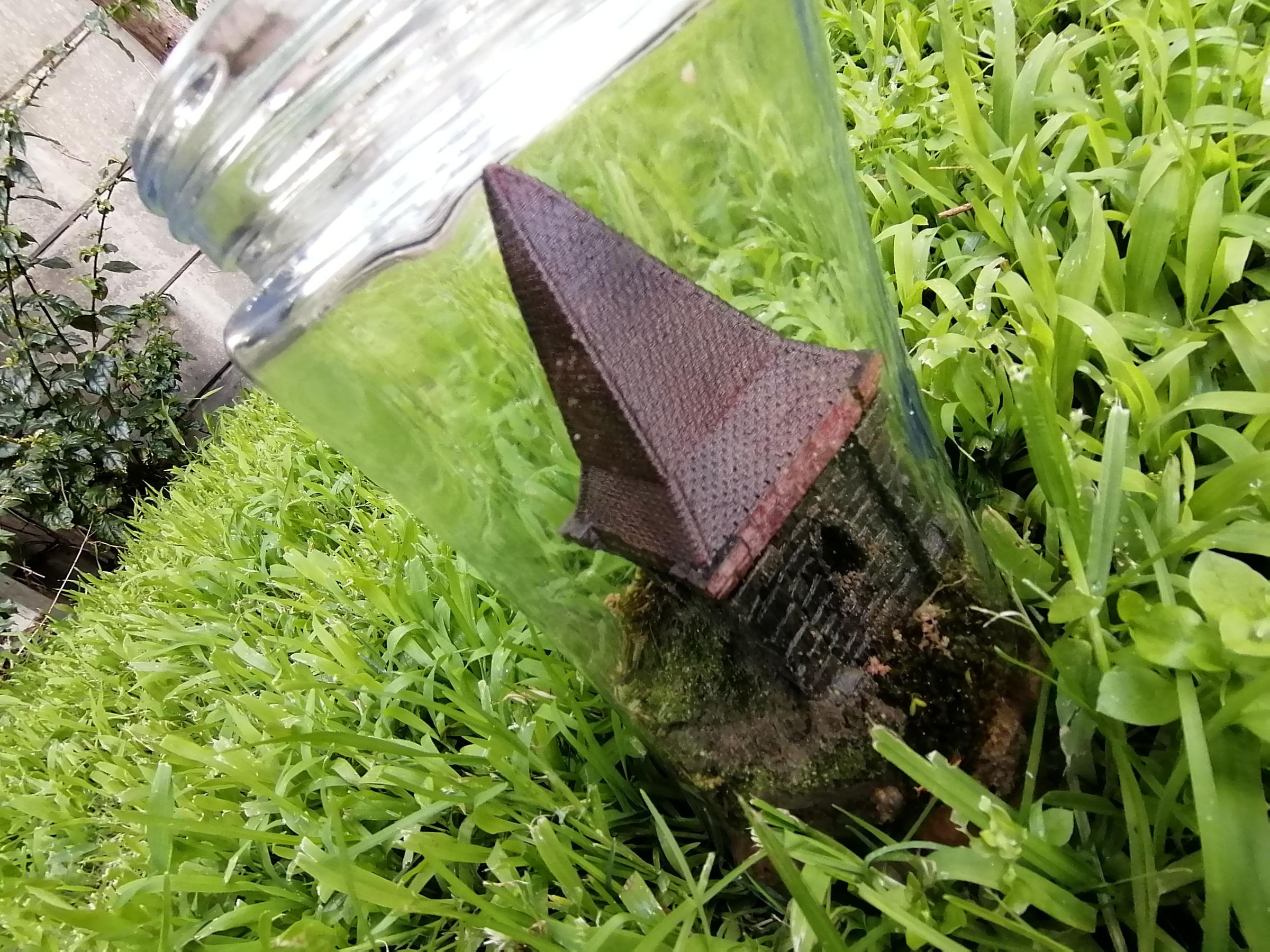 Terrarium With Wirelessly Powered Lights : 8 Steps (with Pictures ...