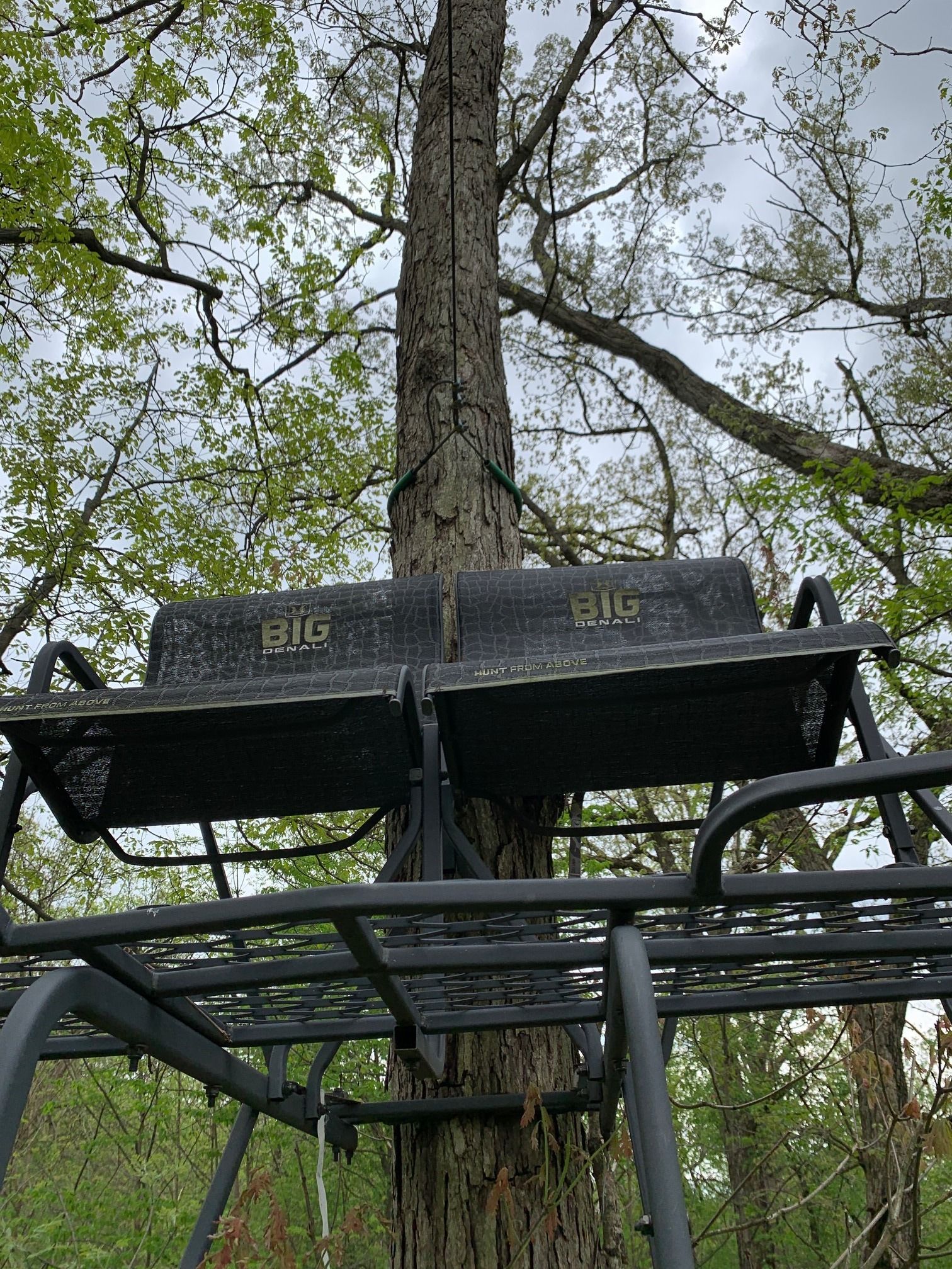 Extreme Backyard Zipline : 6 Steps (with Pictures) - Instructables