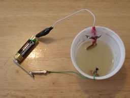 Clean and Simple Electroplating : 7 Steps - Instructables