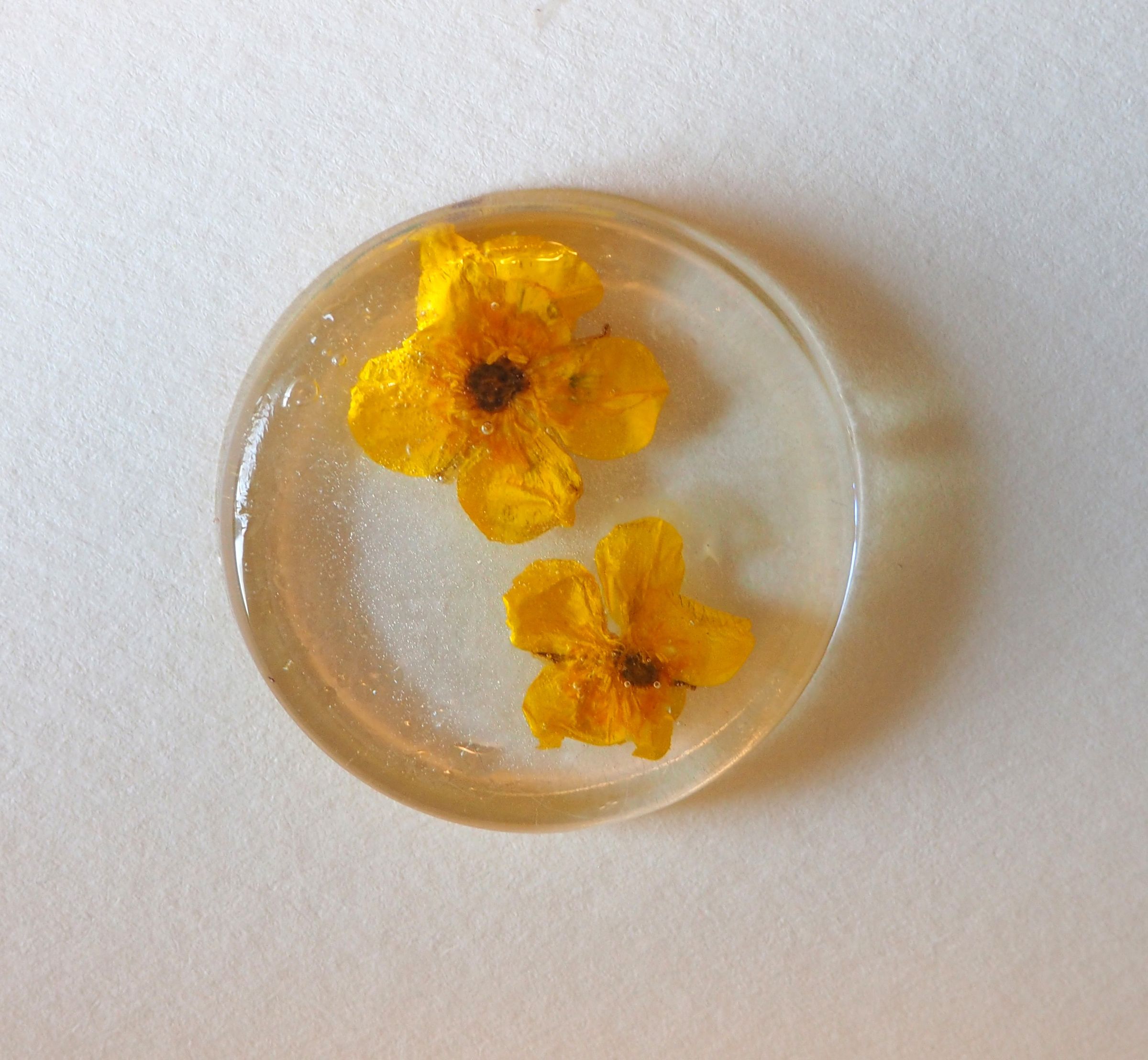 Techniques to Embed Flowers in Resin : 12 Steps (with Pictures ...