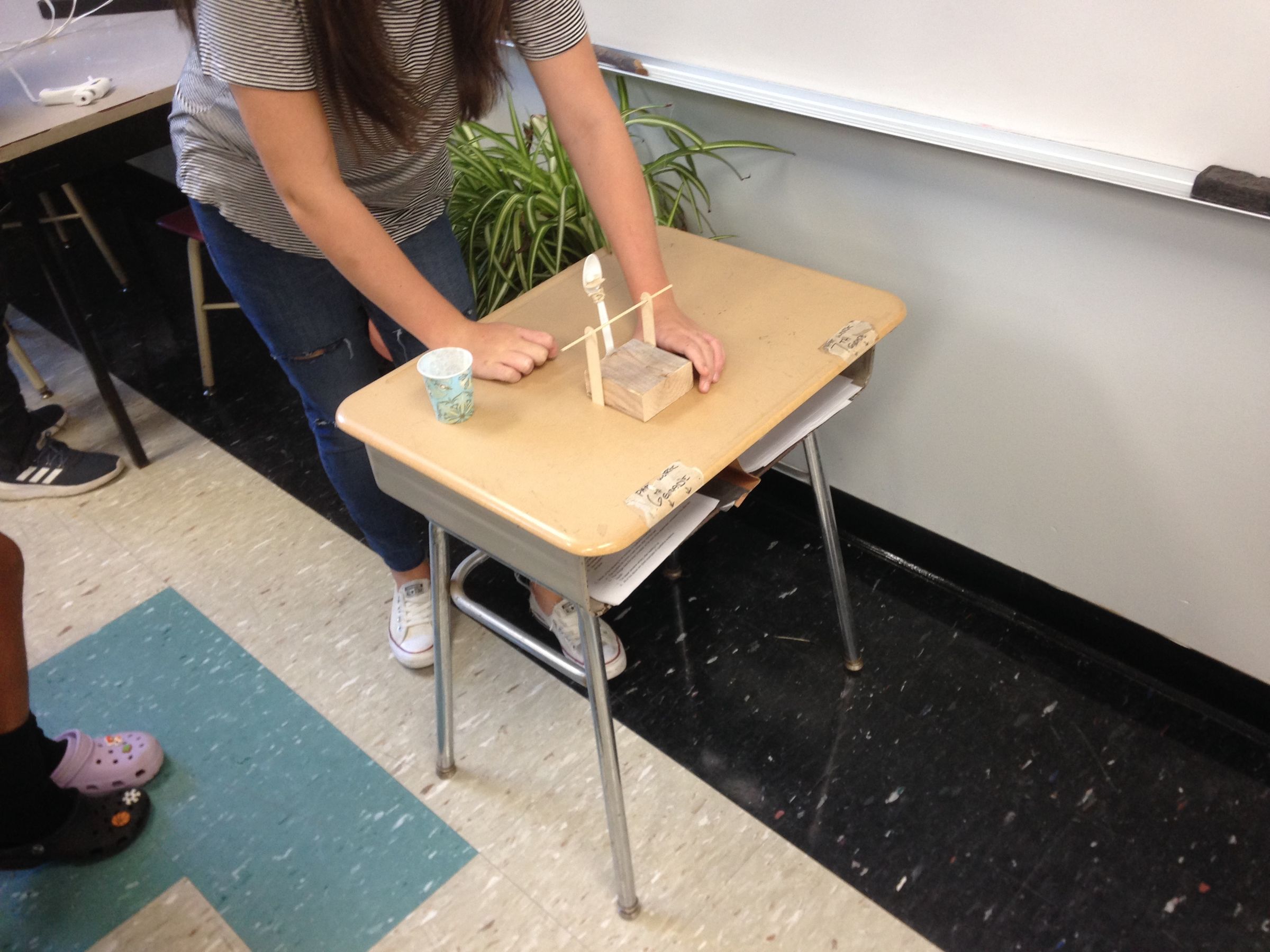 A Fresh Take on Catapults in the Classroom : 6 Steps (with Pictures ...