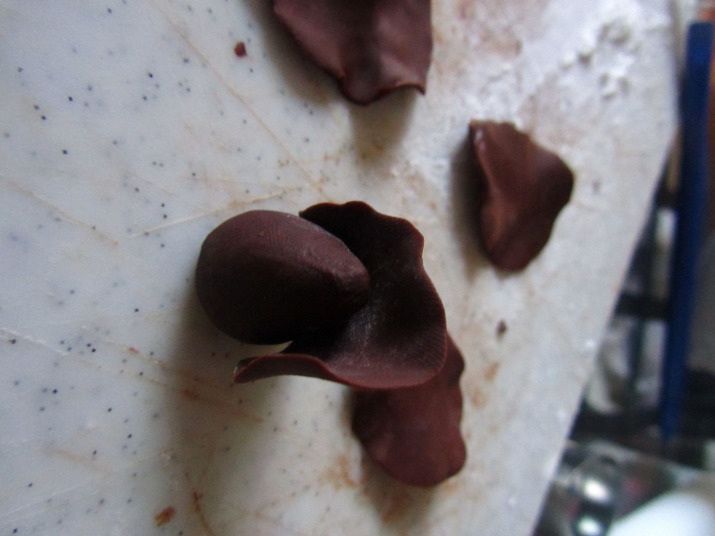 Modelling Chocolate Roses : 9 Steps (with Pictures) - Instructables