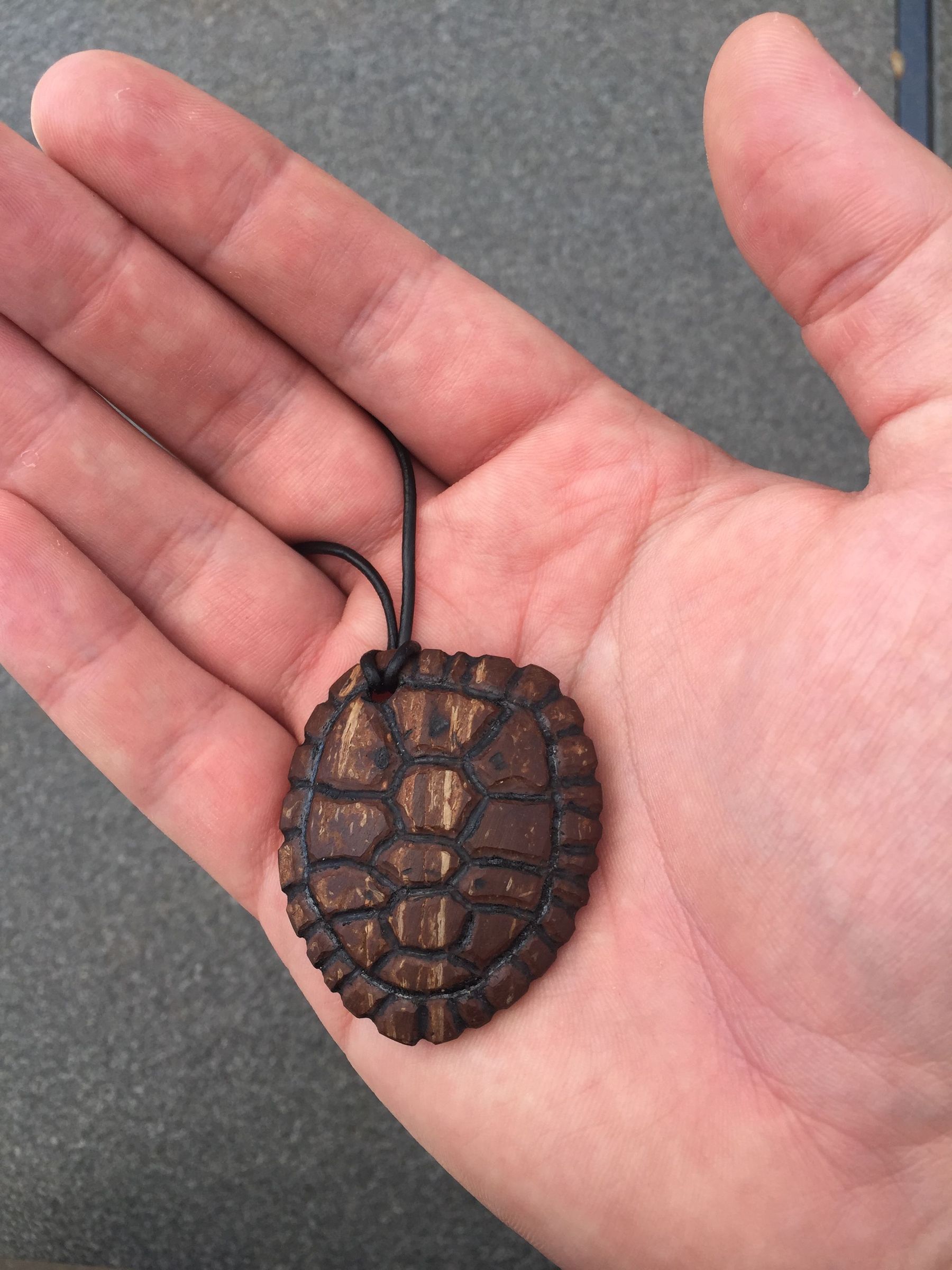 Turtle Shell From Coconut : 6 Steps (with Pictures) - Instructables