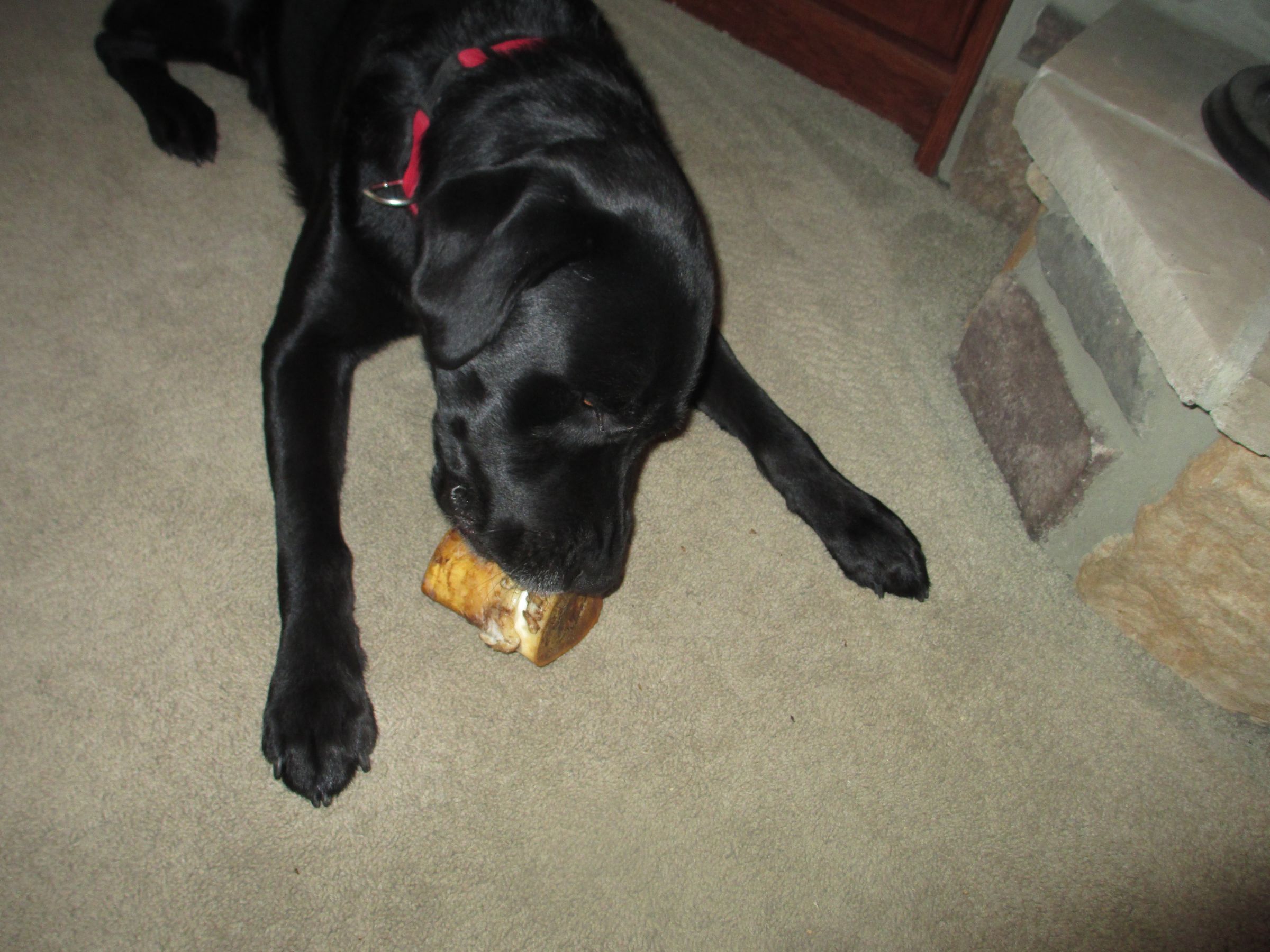 SMOKED BONES for DOGS : 8 Steps - Instructables