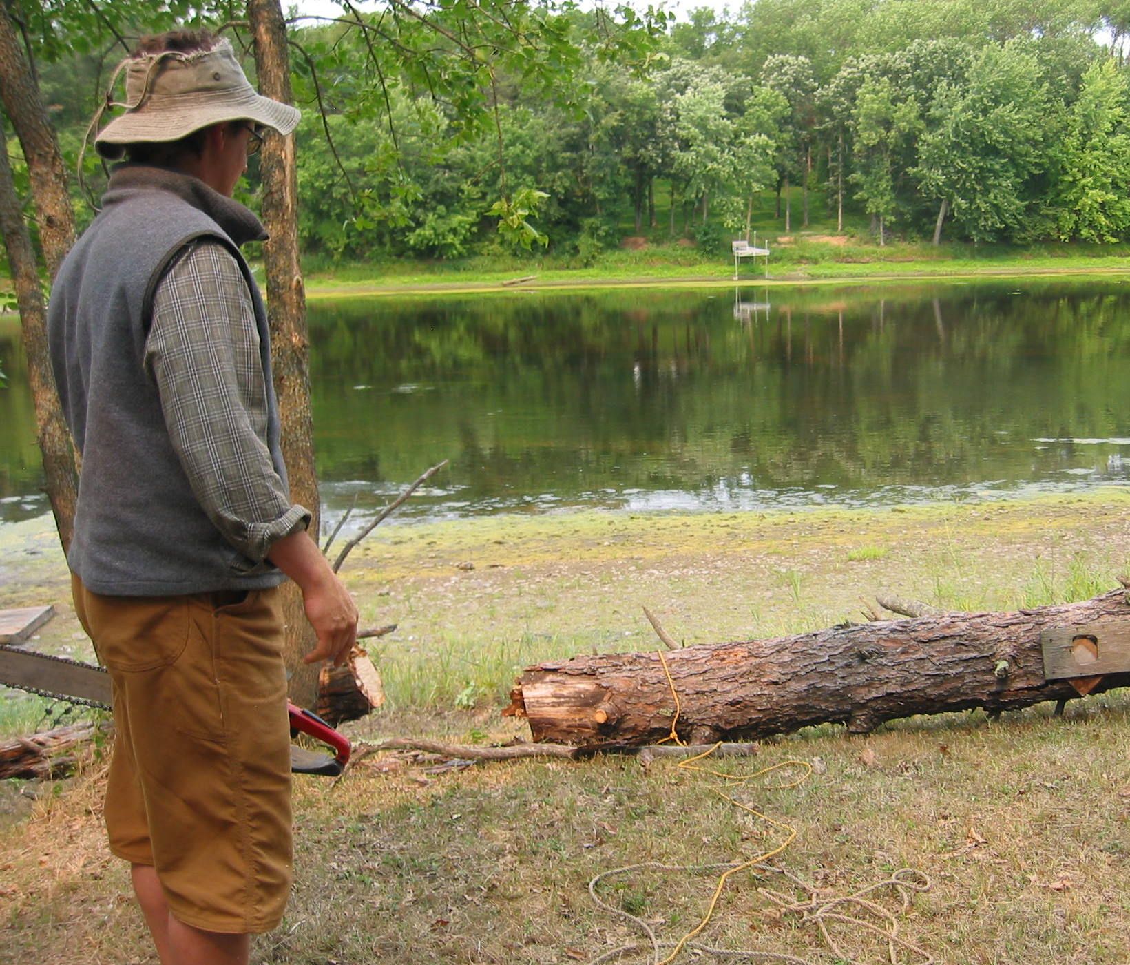 How to Cut Down a Tree : 6 Steps - Instructables