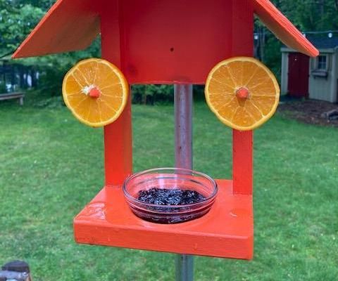 Baltimore Oriole Feeder : 11 Steps (with Pictures) - Instructables