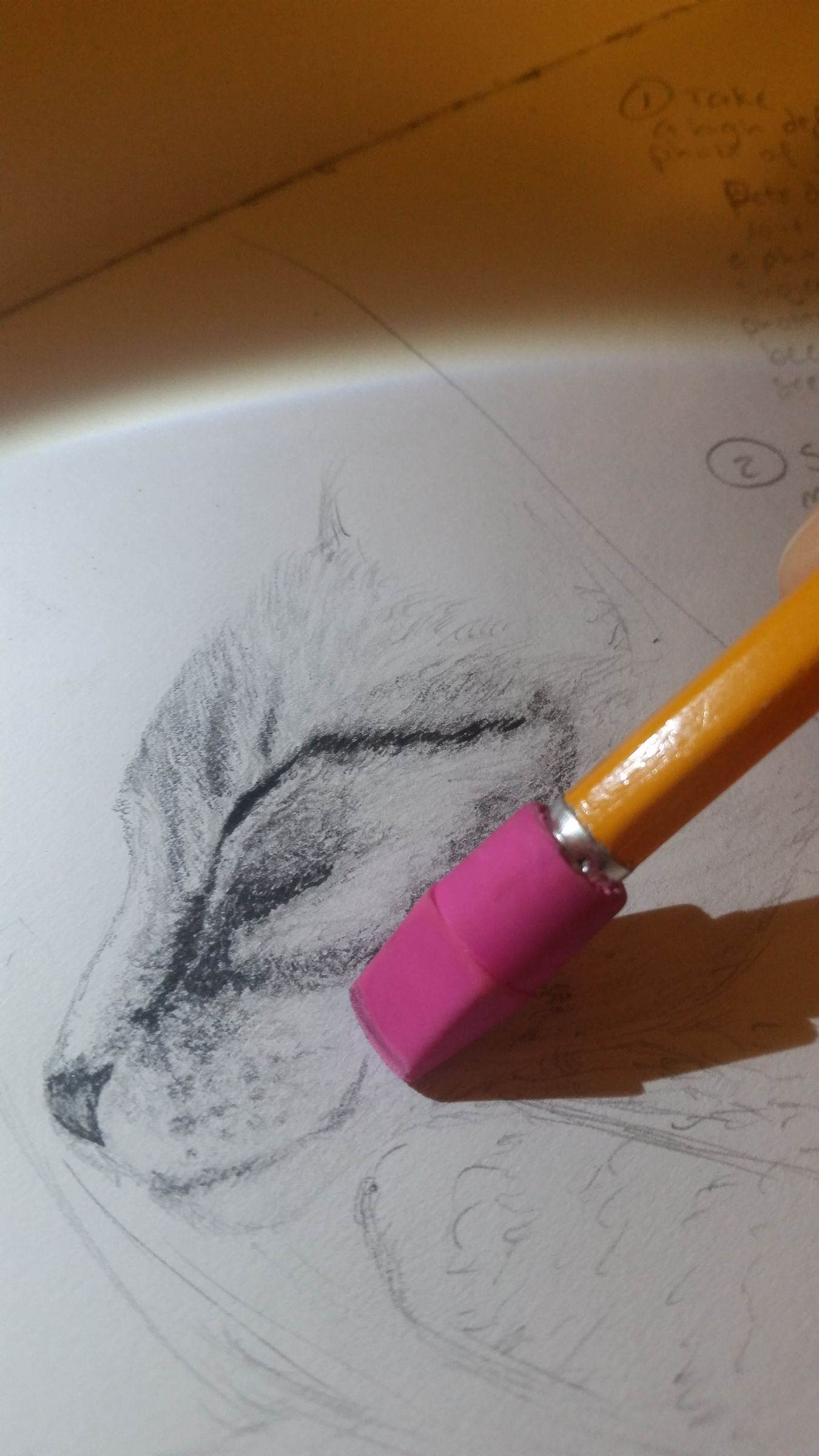 How to Draw Fur : 6 Steps - Instructables