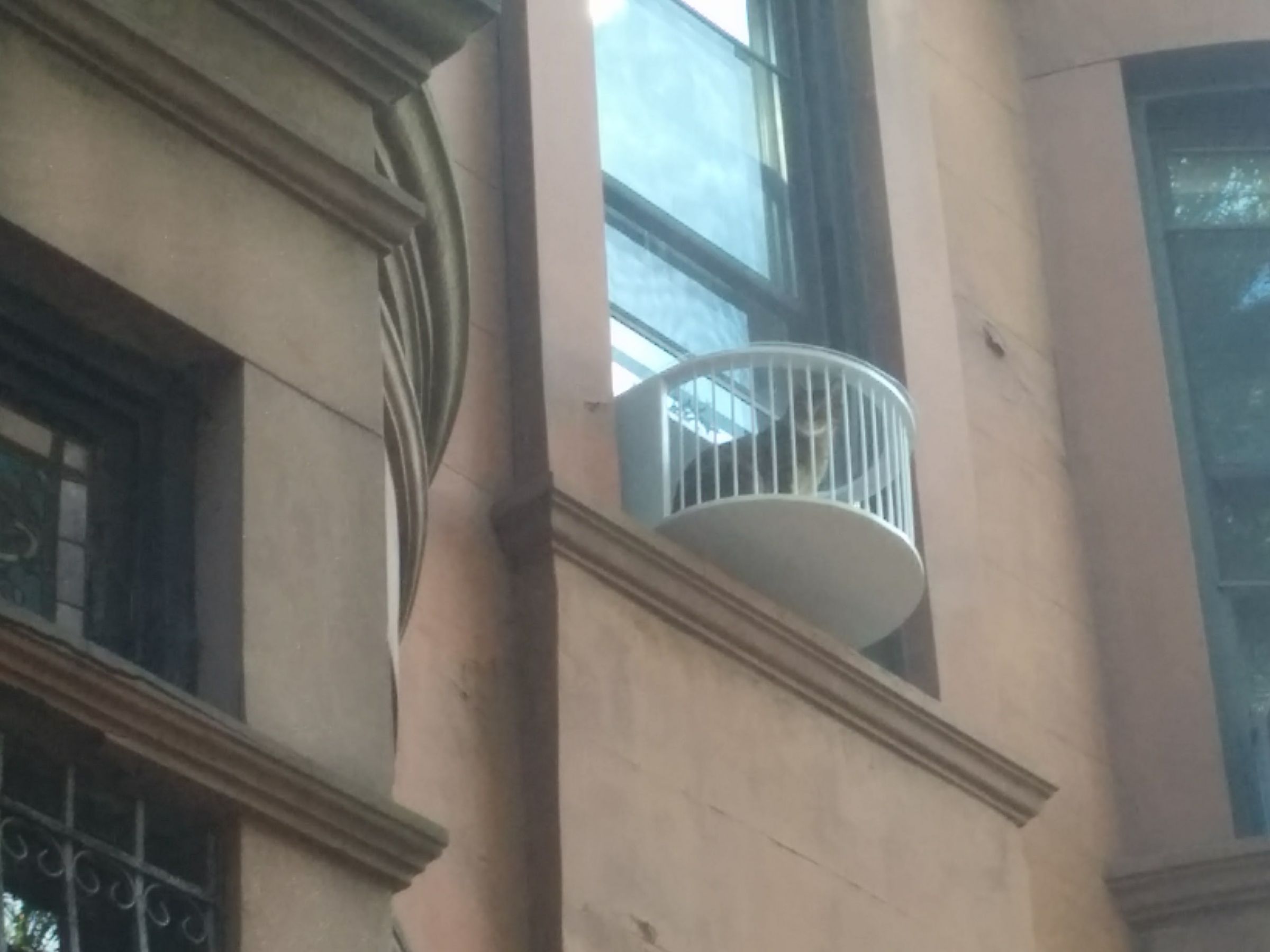 Window Catio (Cat Patio) : 12 Steps (with Pictures) - Instructables