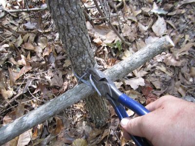 Building a Natural Ground Blind : 7 Steps - Instructables
