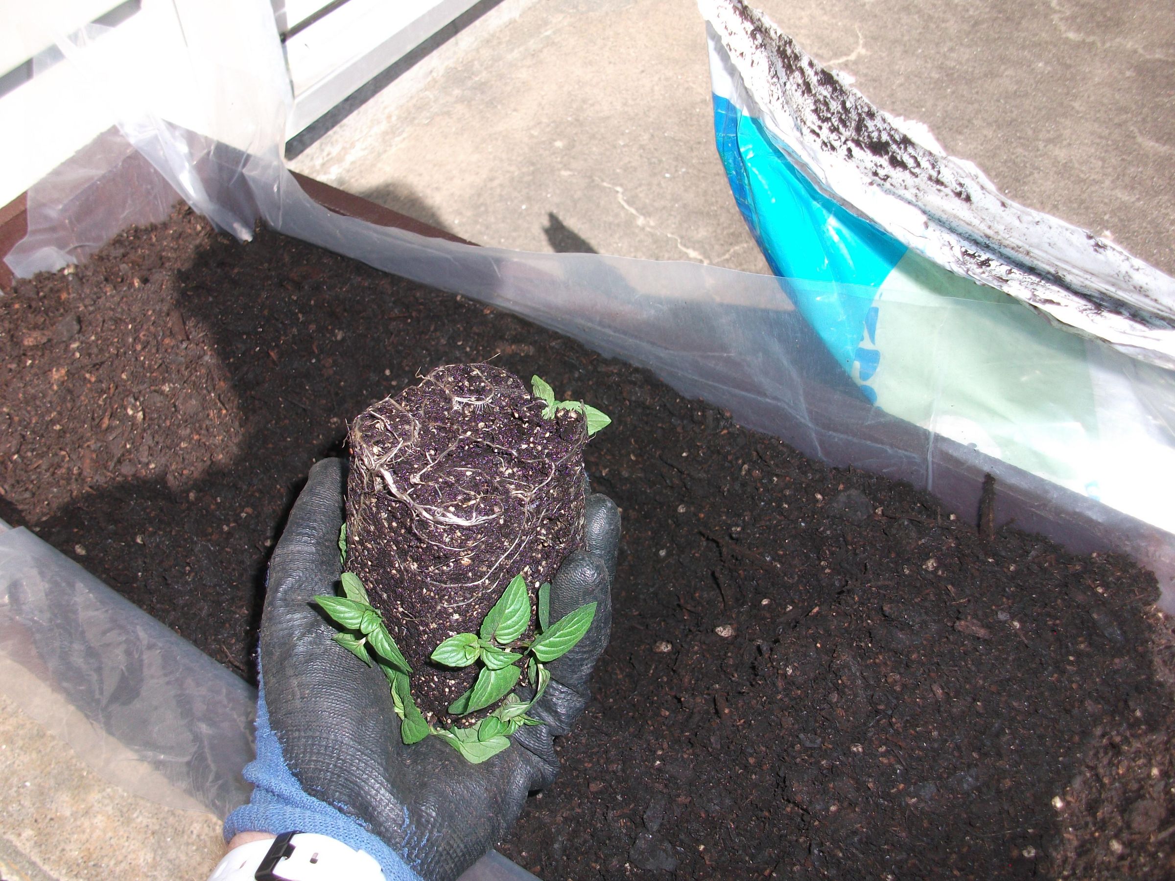 Pedestal Peppermint Patch Planter : 4 Steps (with Pictures) - Instructables