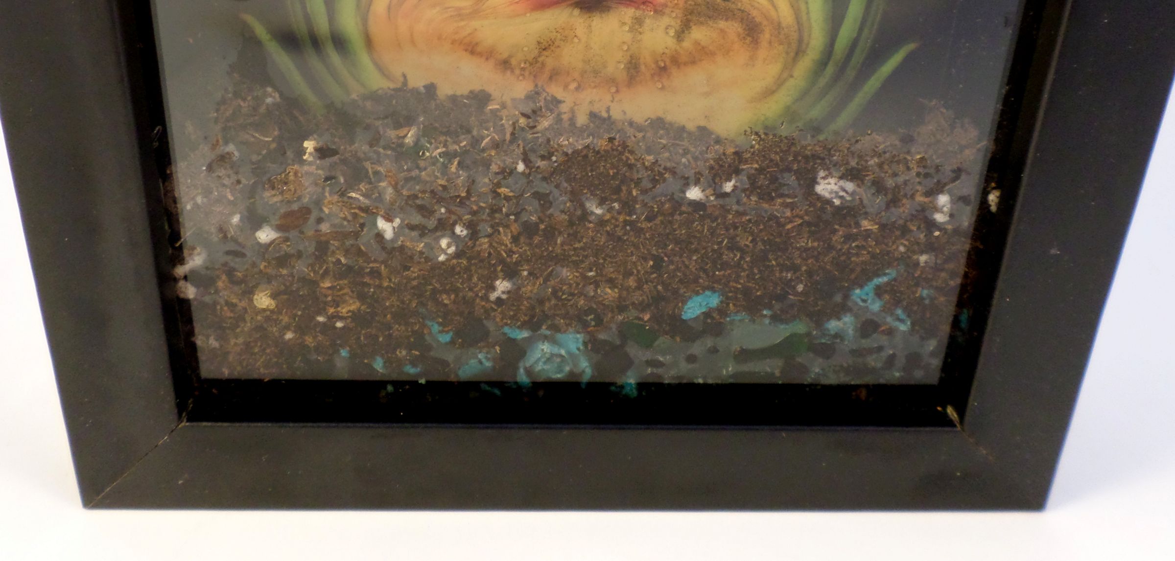 Picture Frame Terrarium : 13 Steps (with Pictures) - Instructables