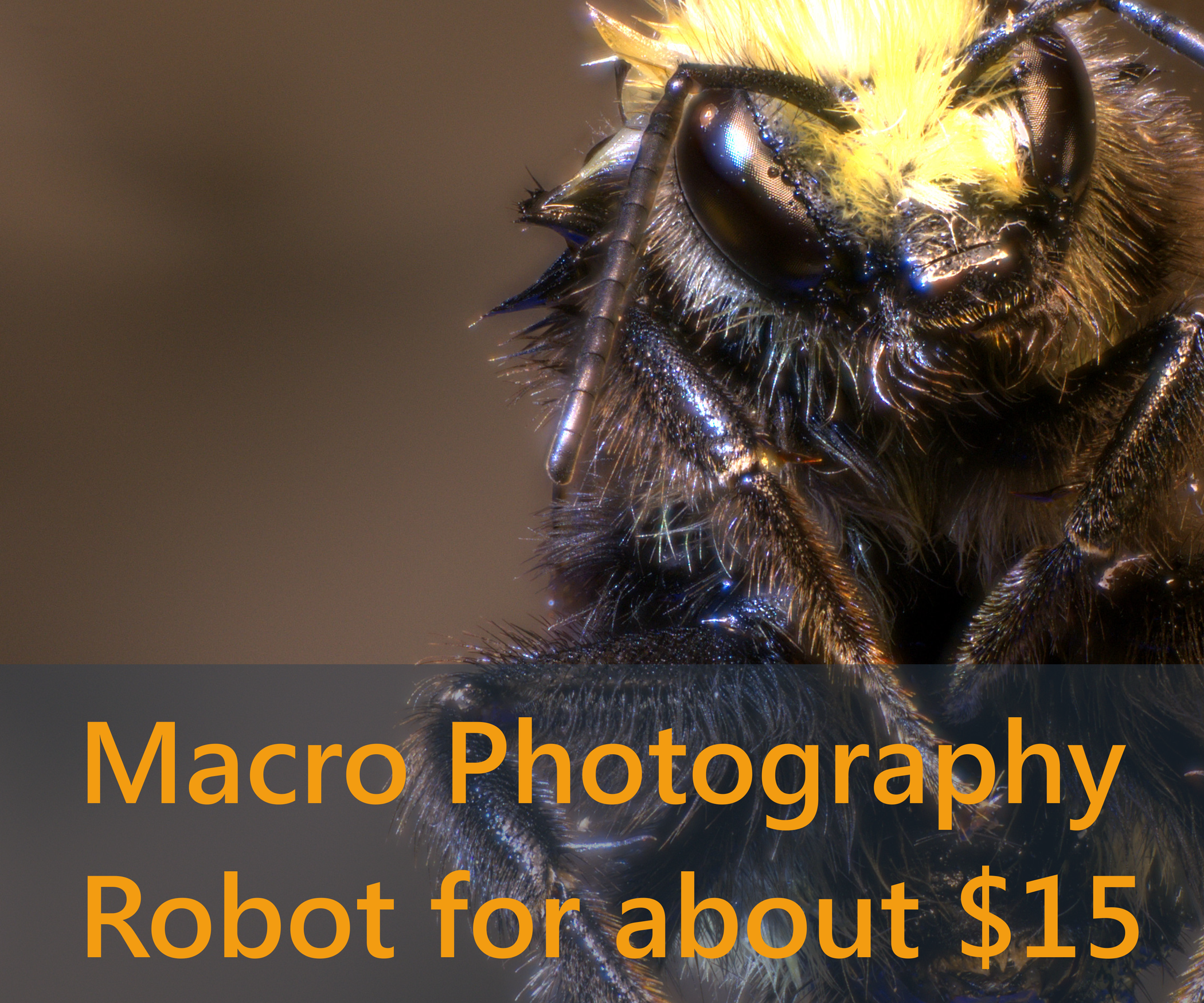 Macro Photography Robot for About $15 : 13 Steps (with Pictures ...
