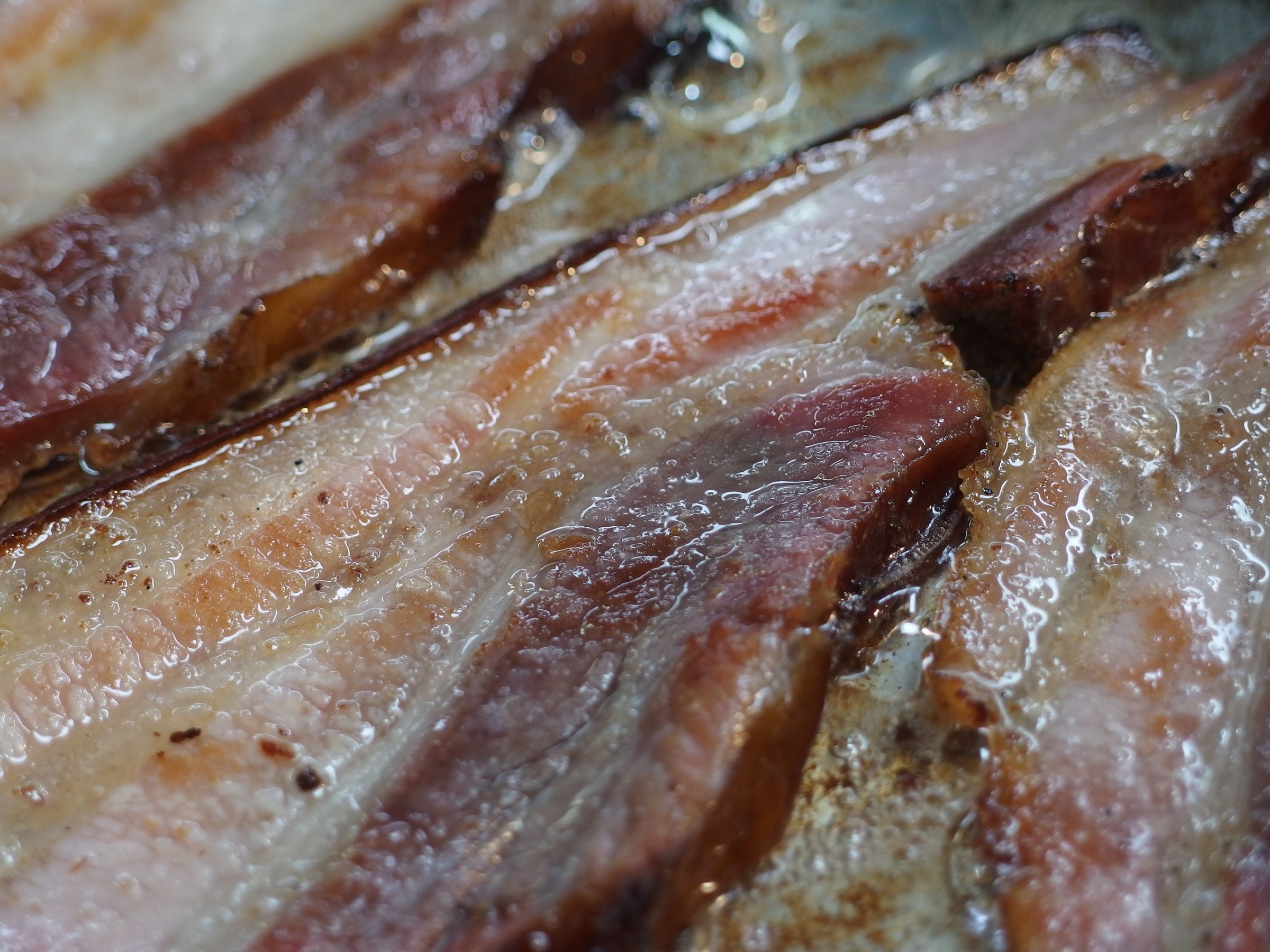 Green Cured Bacon : 6 Steps (with Pictures) - Instructables