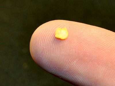 Sprout Seeds Overnight...with Scarification! : 3 Steps (with Pictures ...