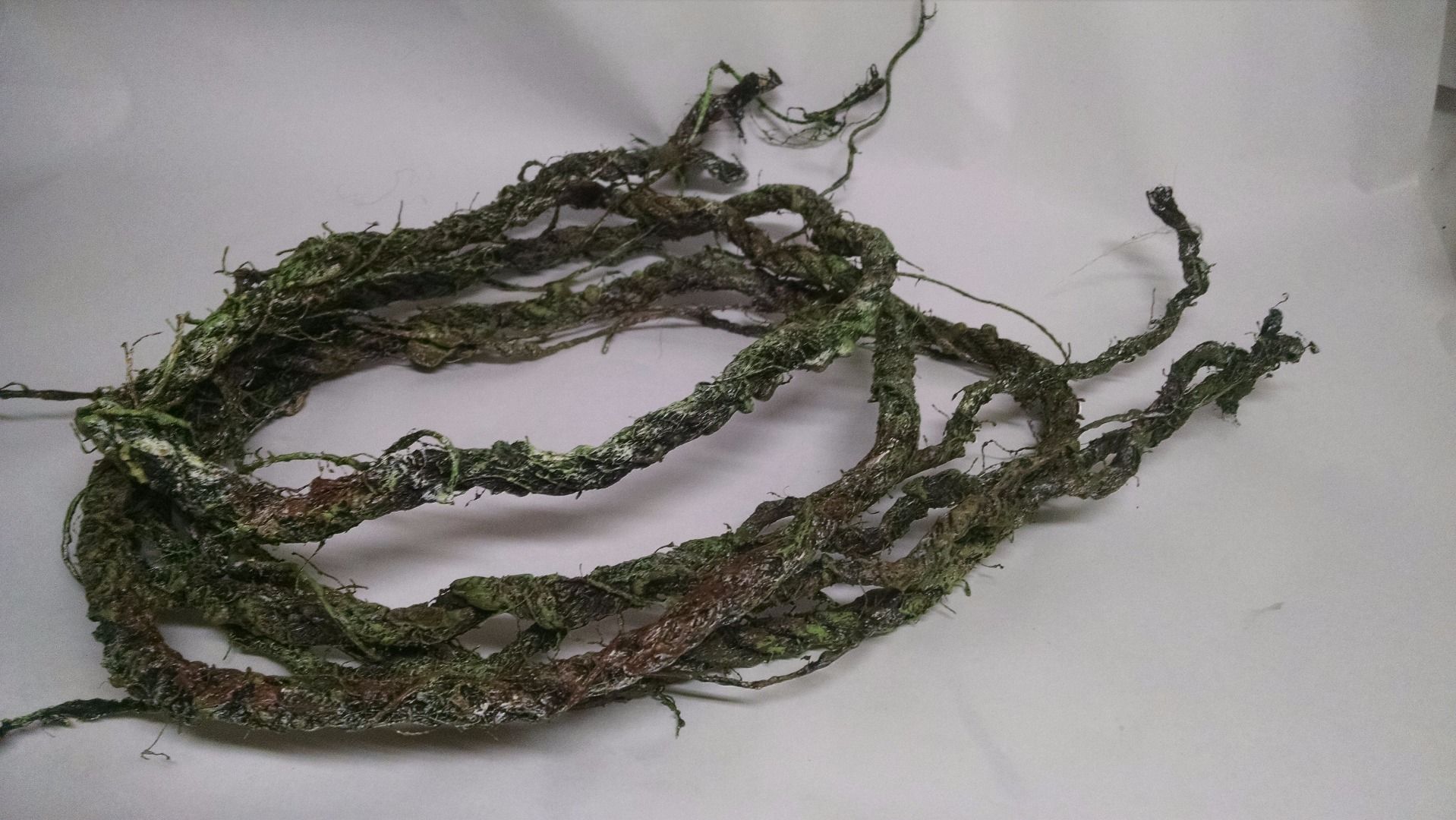DIY Inexpensive Bendable Waterproof Vines : 4 Steps (with Pictures ...