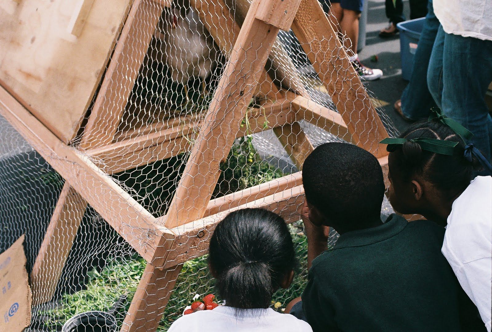 A-Frame Coop Design : 9 Steps (with Pictures) - Instructables