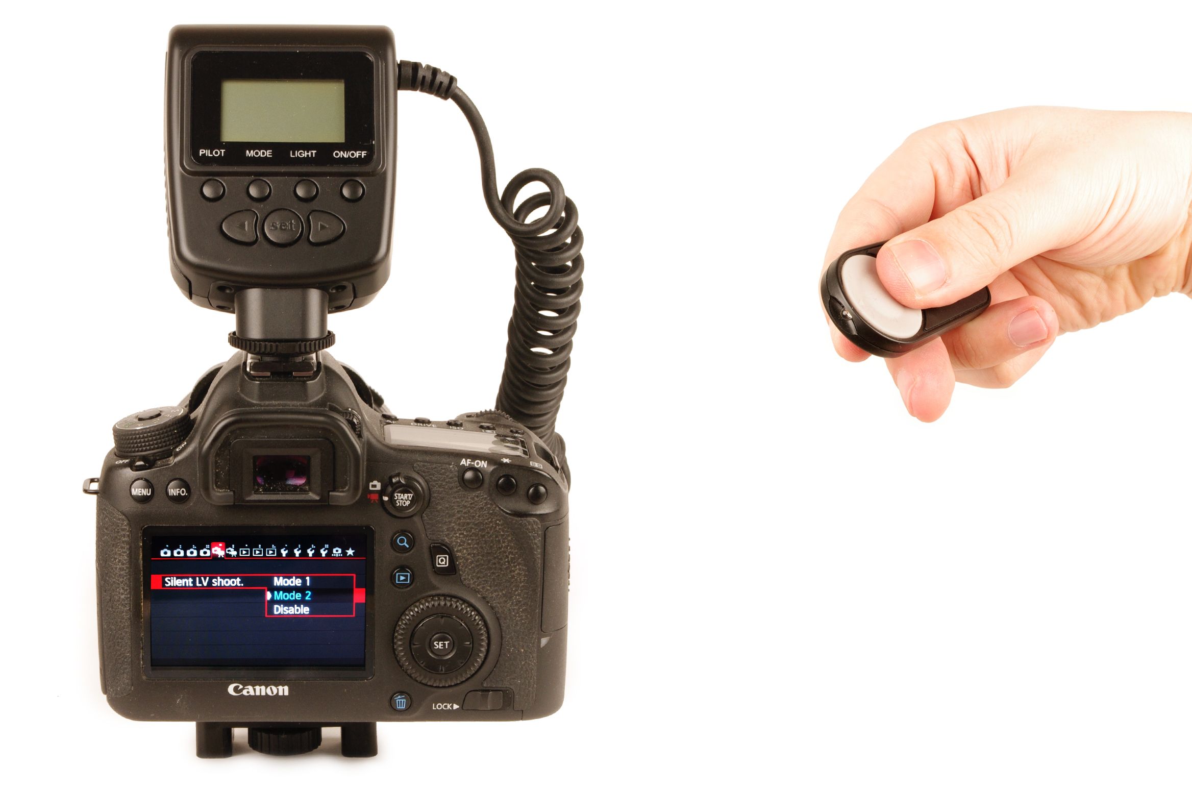 DSLR Microphotography : 12 Steps (with Pictures) - Instructables