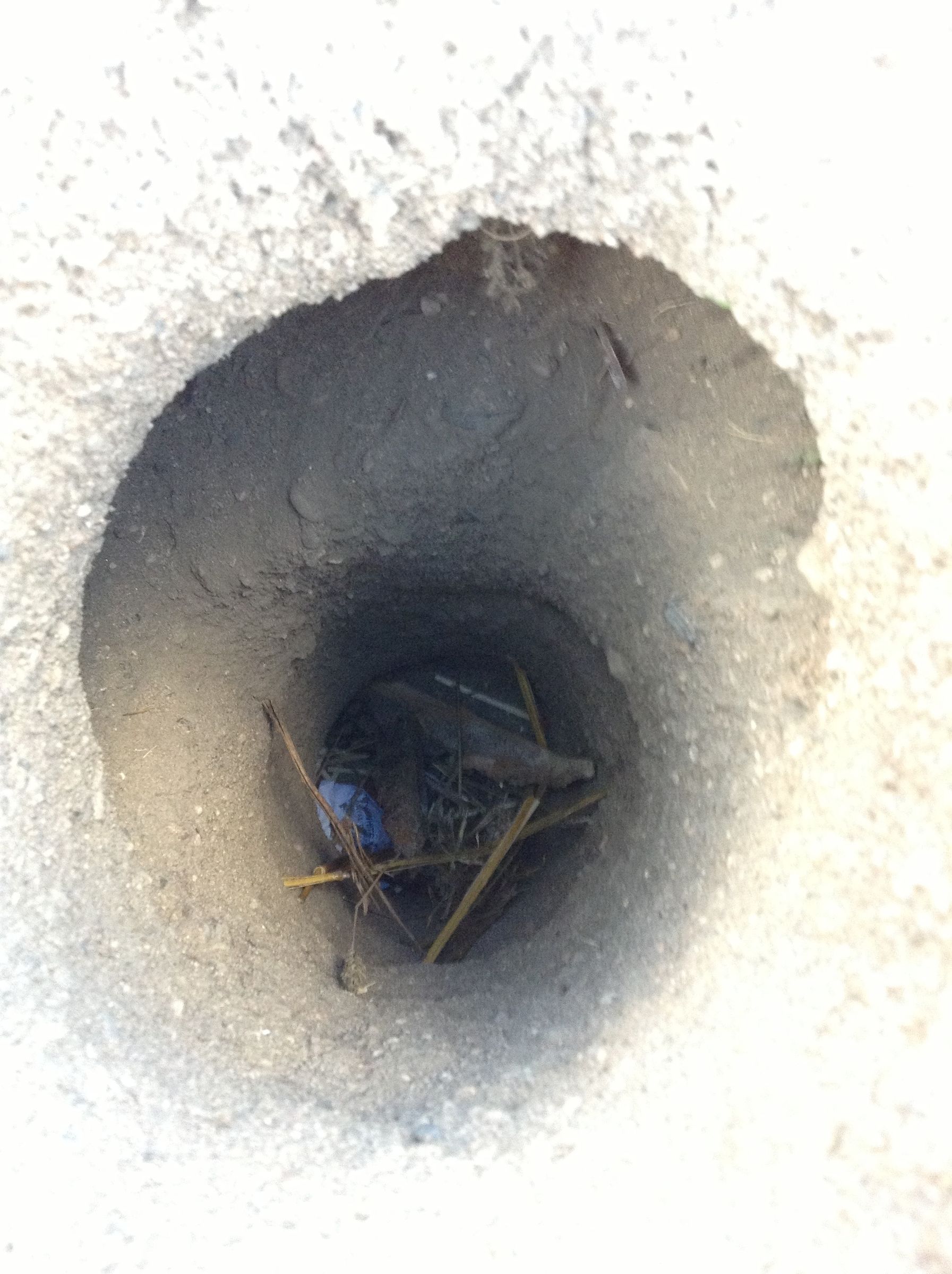 Sand Rocket Stove : 8 Steps - Instructables