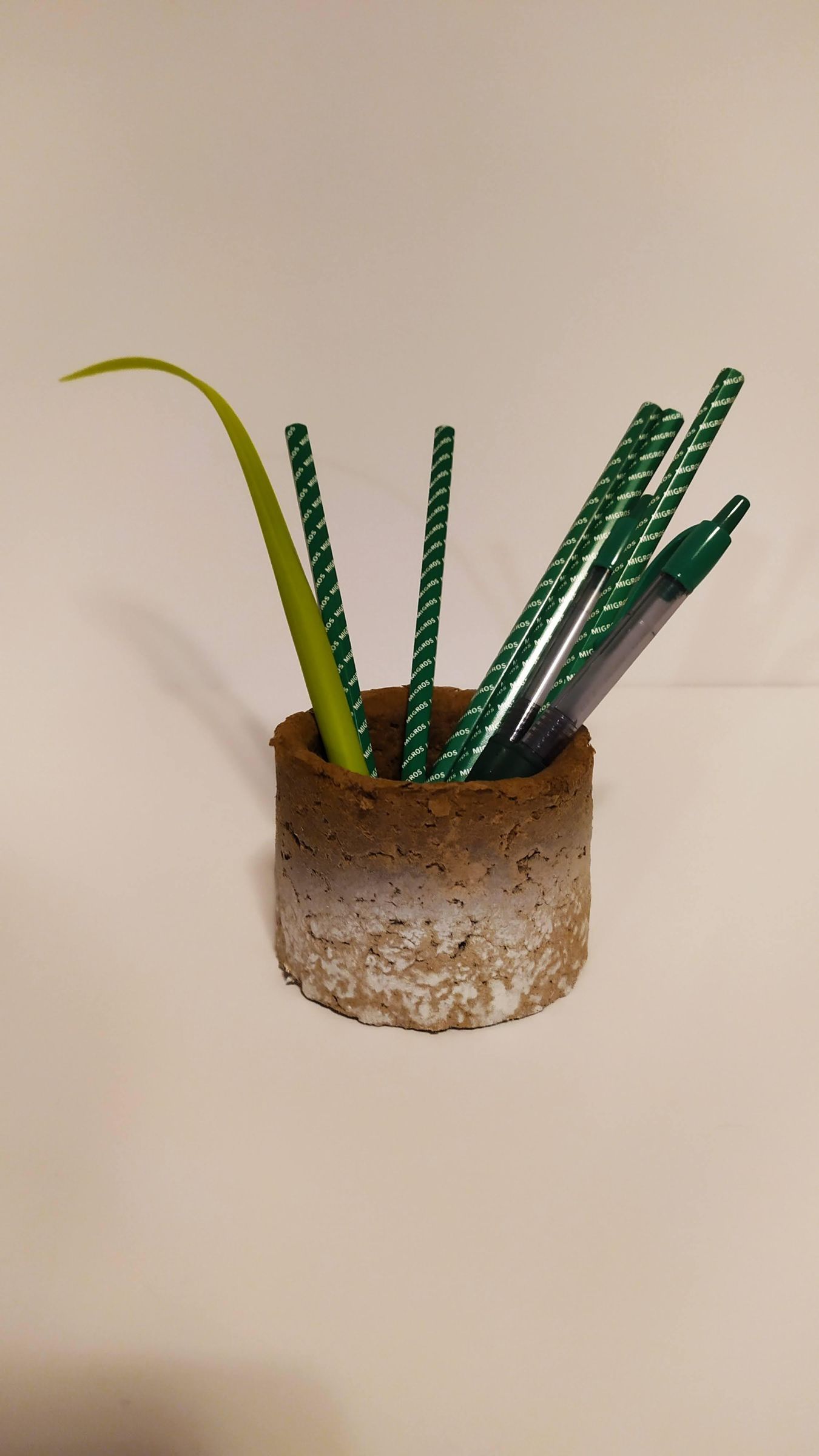 Sustainable + Recycled CARDBOARD Bowls (and Plant Pots!) : 5 Steps ...