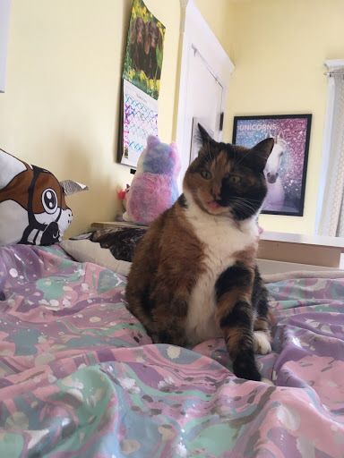 Origami Post-it Box : 15 Steps (with Pictures) - Instructables