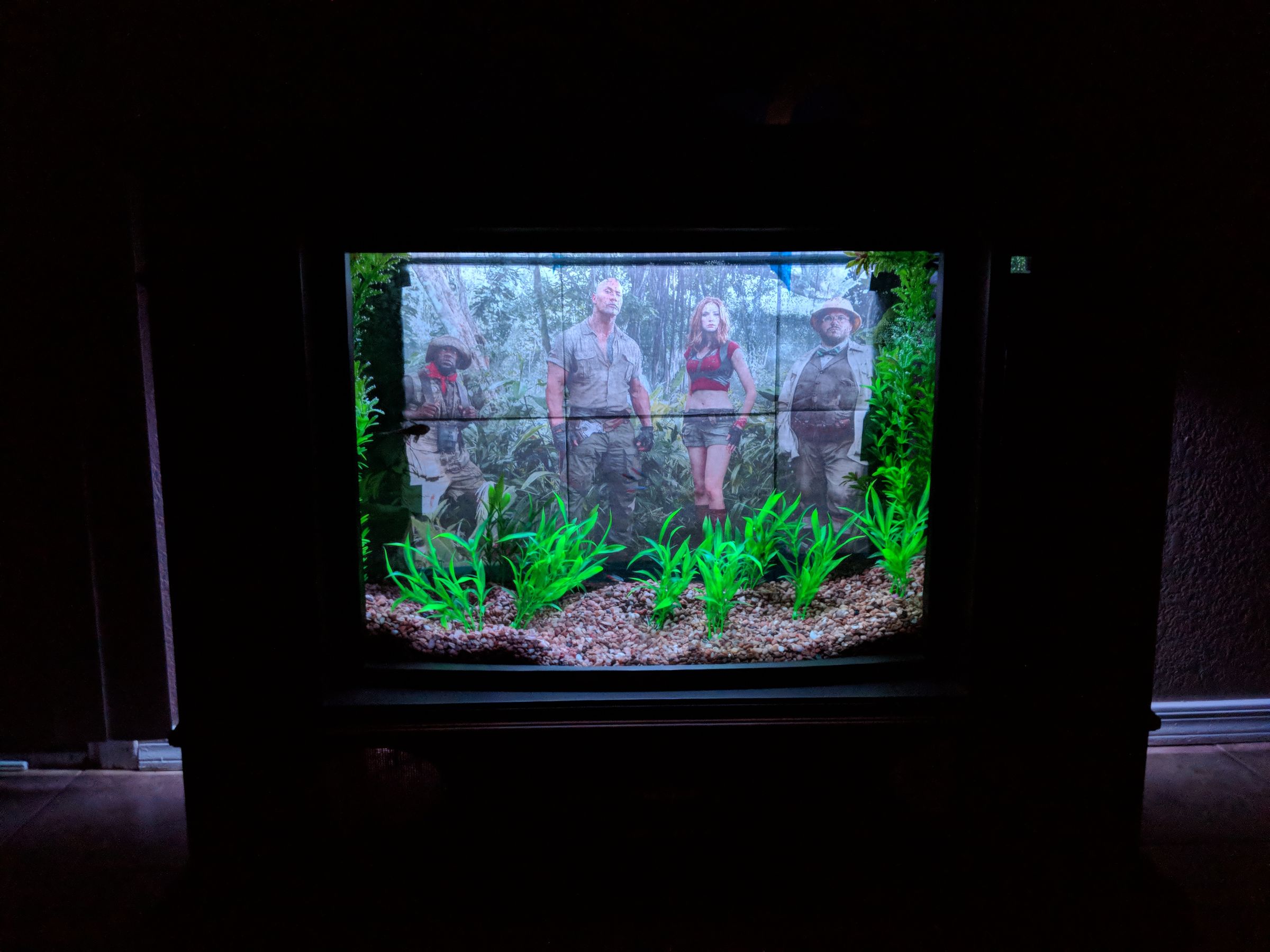 Build a TV Fish Tank : 6 Steps (with Pictures) - Instructables