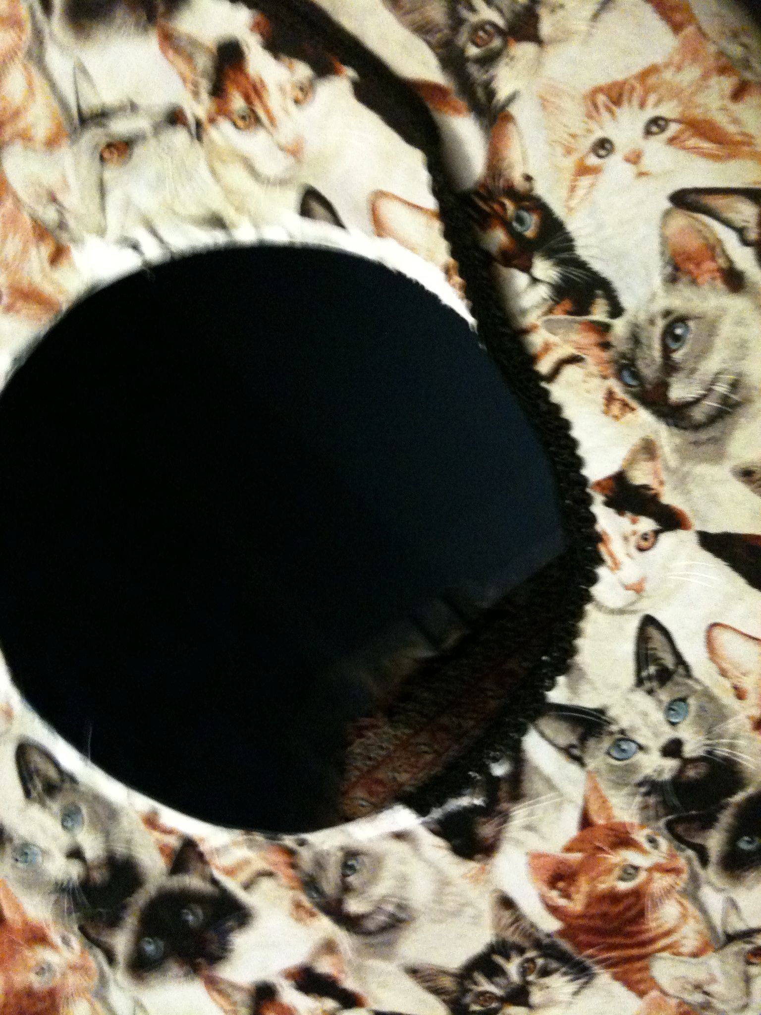 Fun and Functional Cat Litter Box Cover : 7 Steps - Instructables