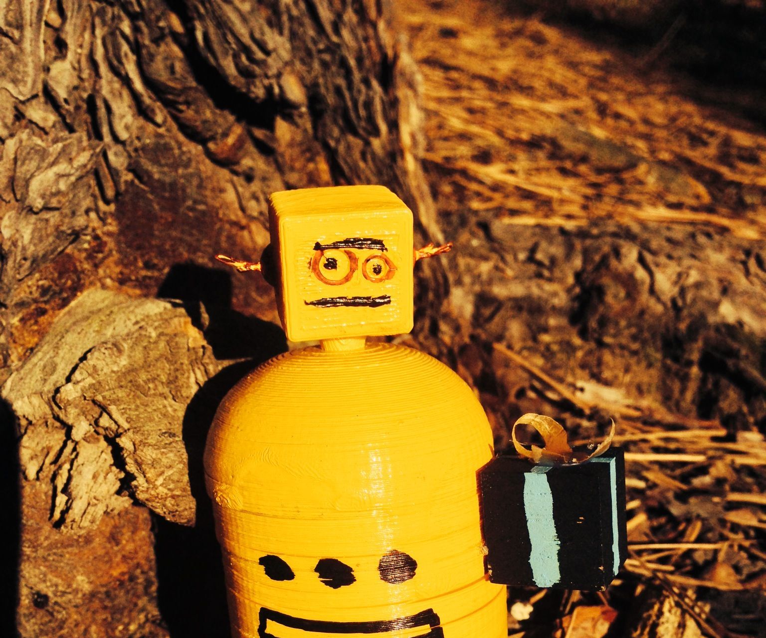 3d printed instructables robot DIY Project - Step-by-Step DIY Project ...