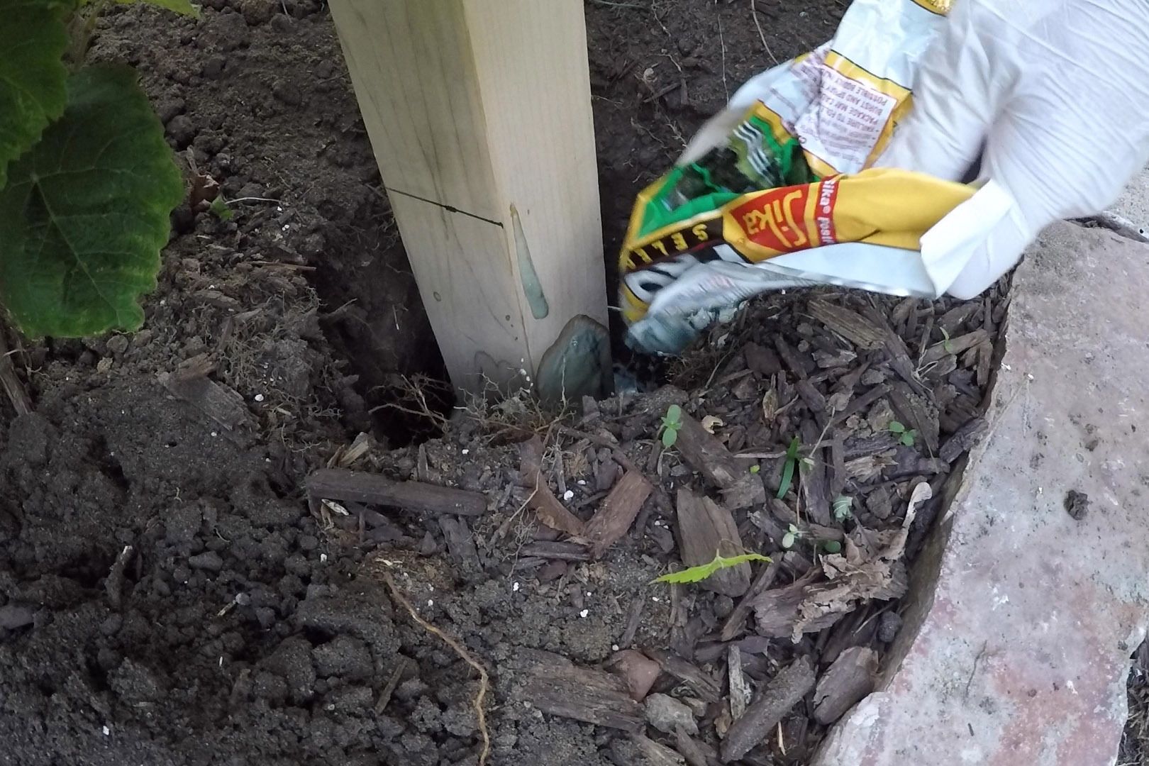 Building a Cedar Grape Trellis : 13 Steps (with Pictures) - Instructables