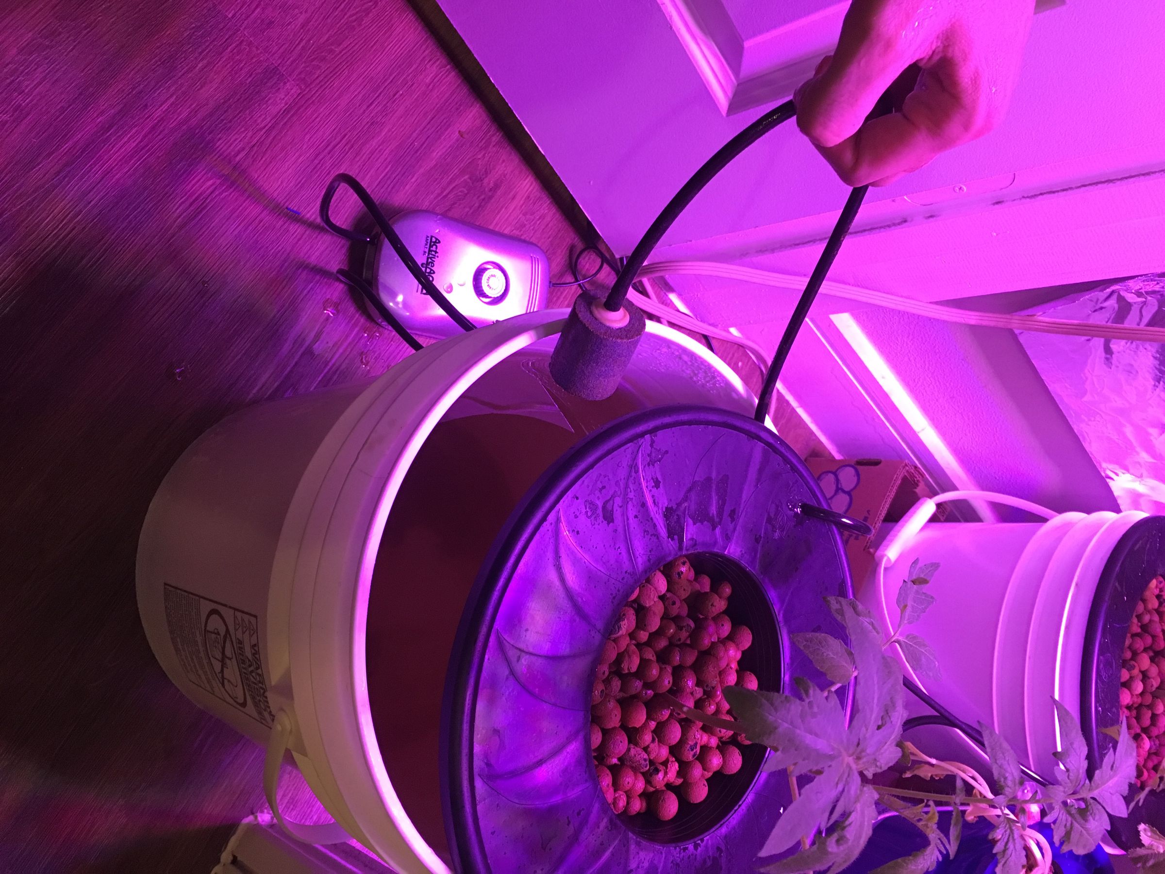 Lettuce for Life - Arduino 101 Based Automated Controller for ...