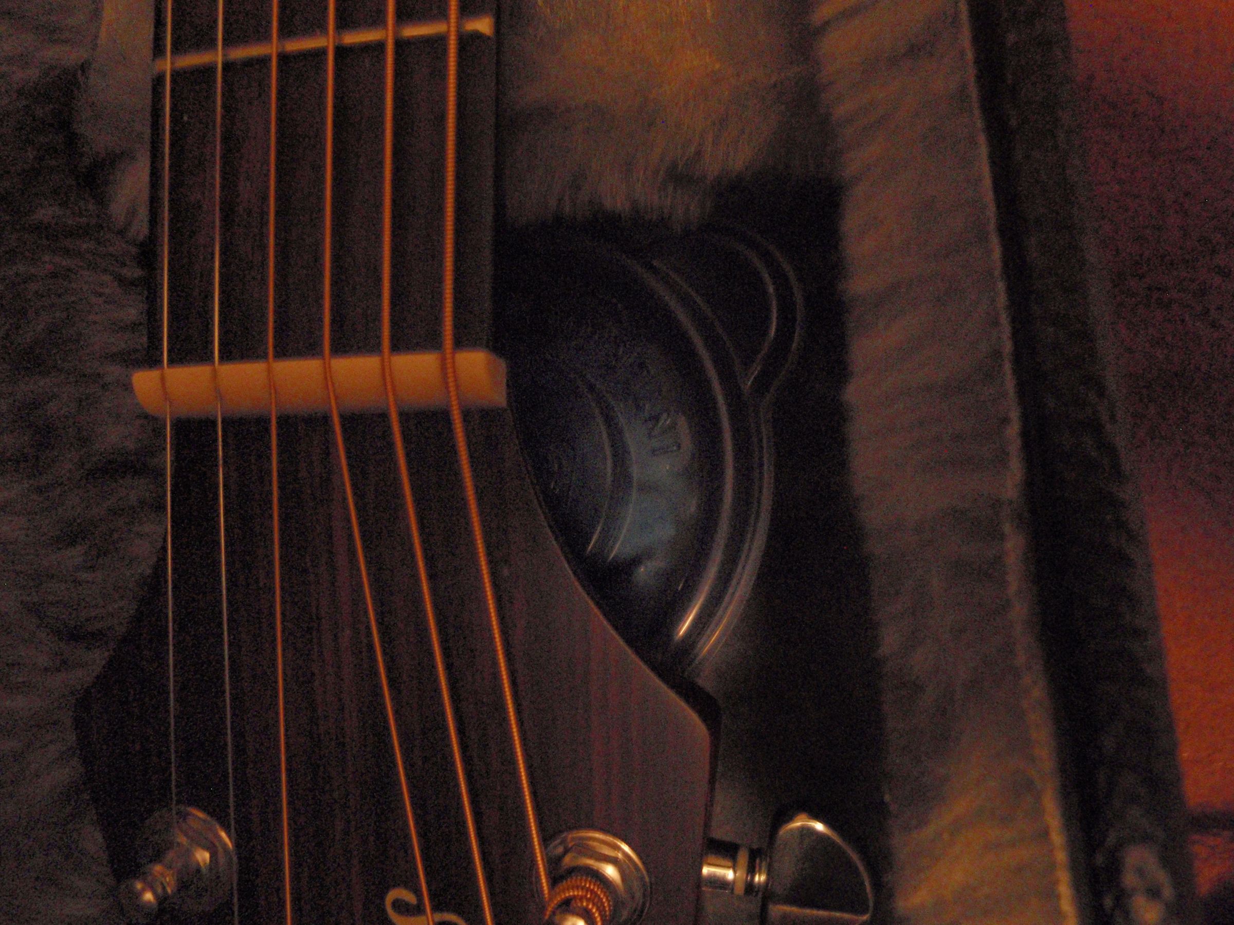 Homemade Guitar Humidifier : 5 Steps - Instructables