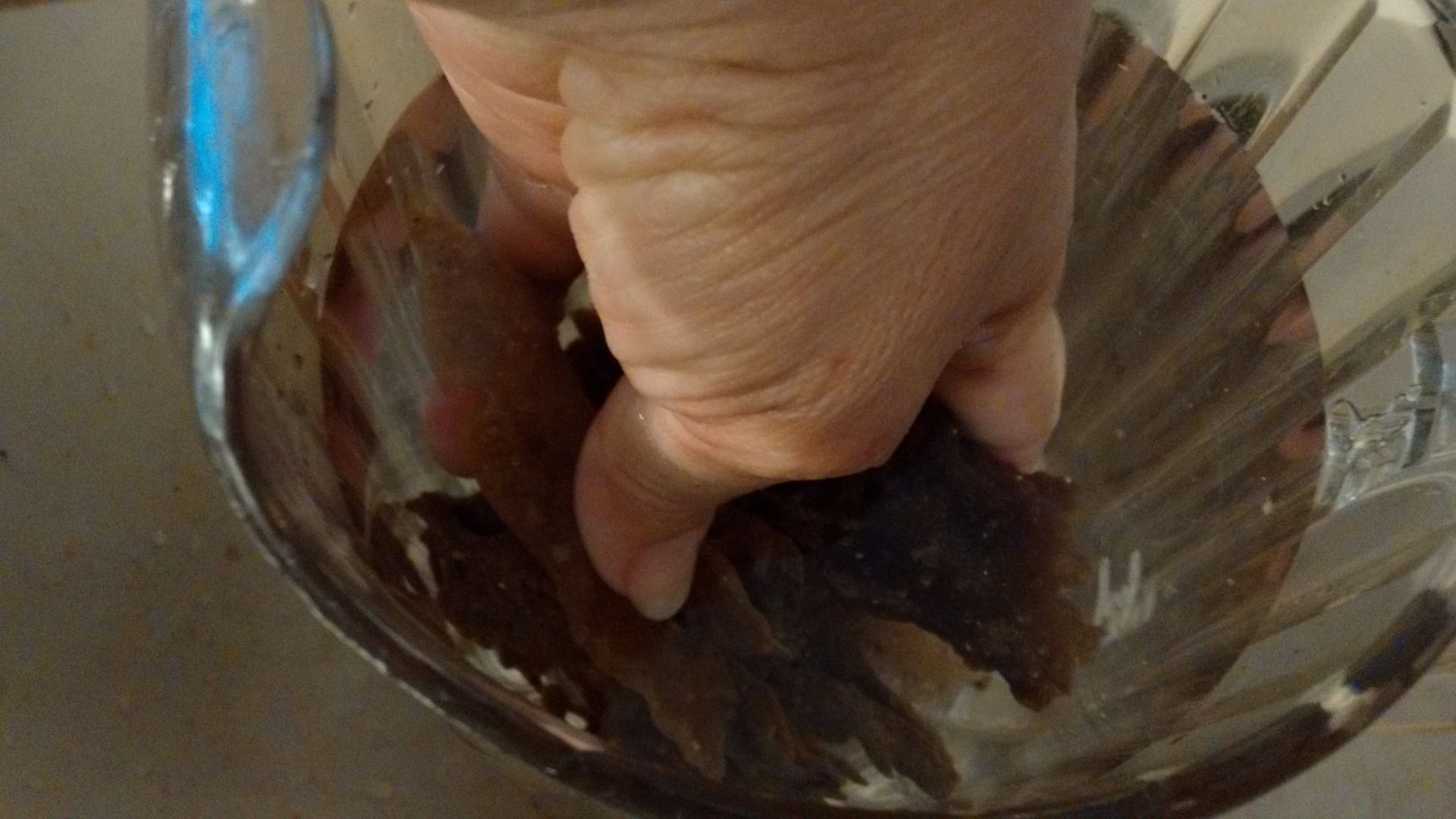 Sponging Up: Cleaning & Preserving Beachcombed Sponges : 10 Steps (with ...