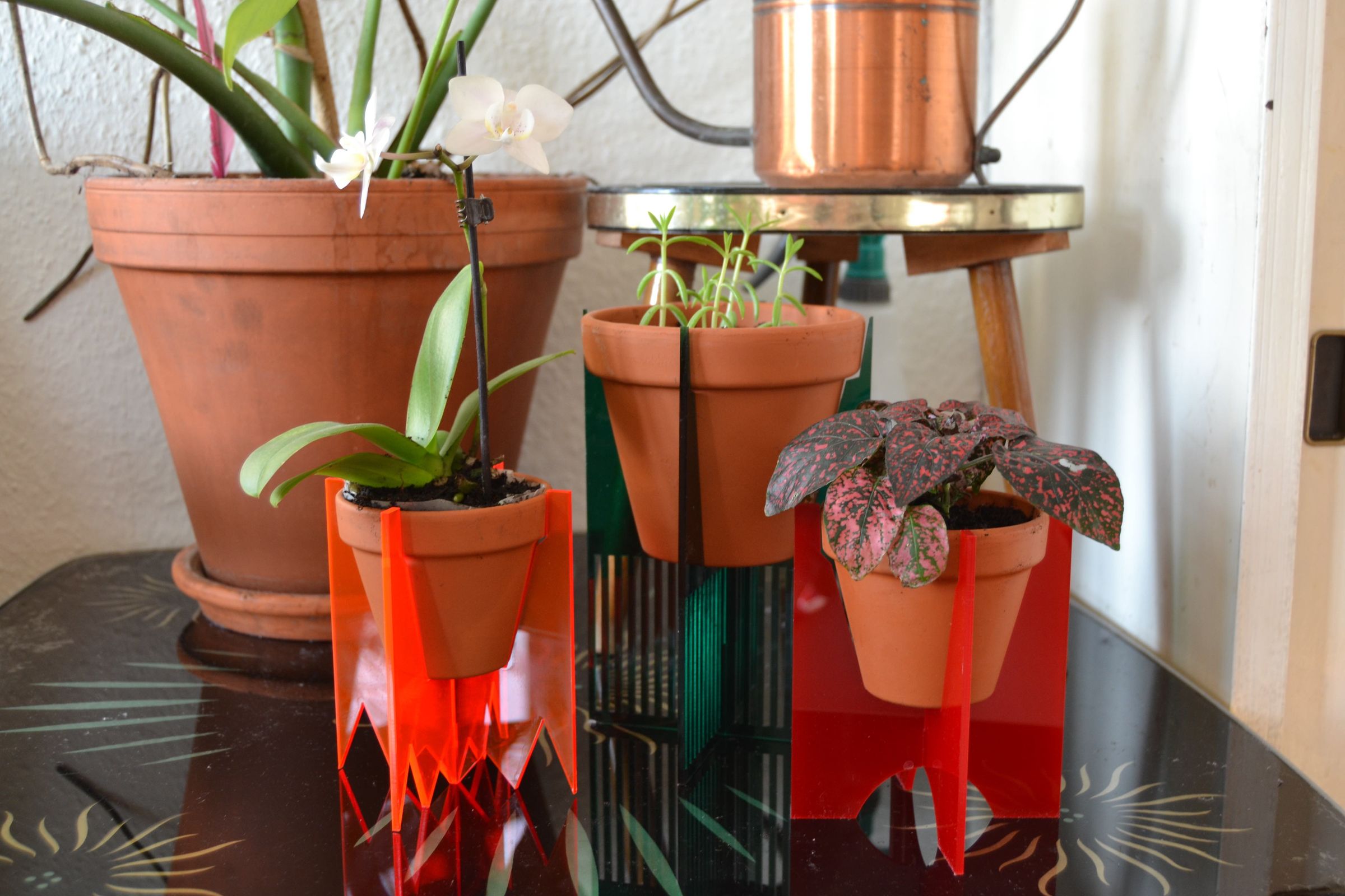 Laser Cut Planters : 7 Steps (with Pictures) - Instructables