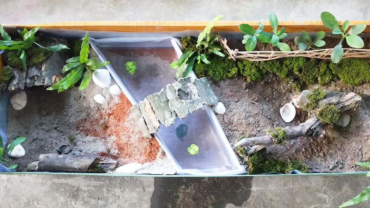 Turtle Habitat for Baby Turtles | Homemade Turtle Garden : 18 Steps ...