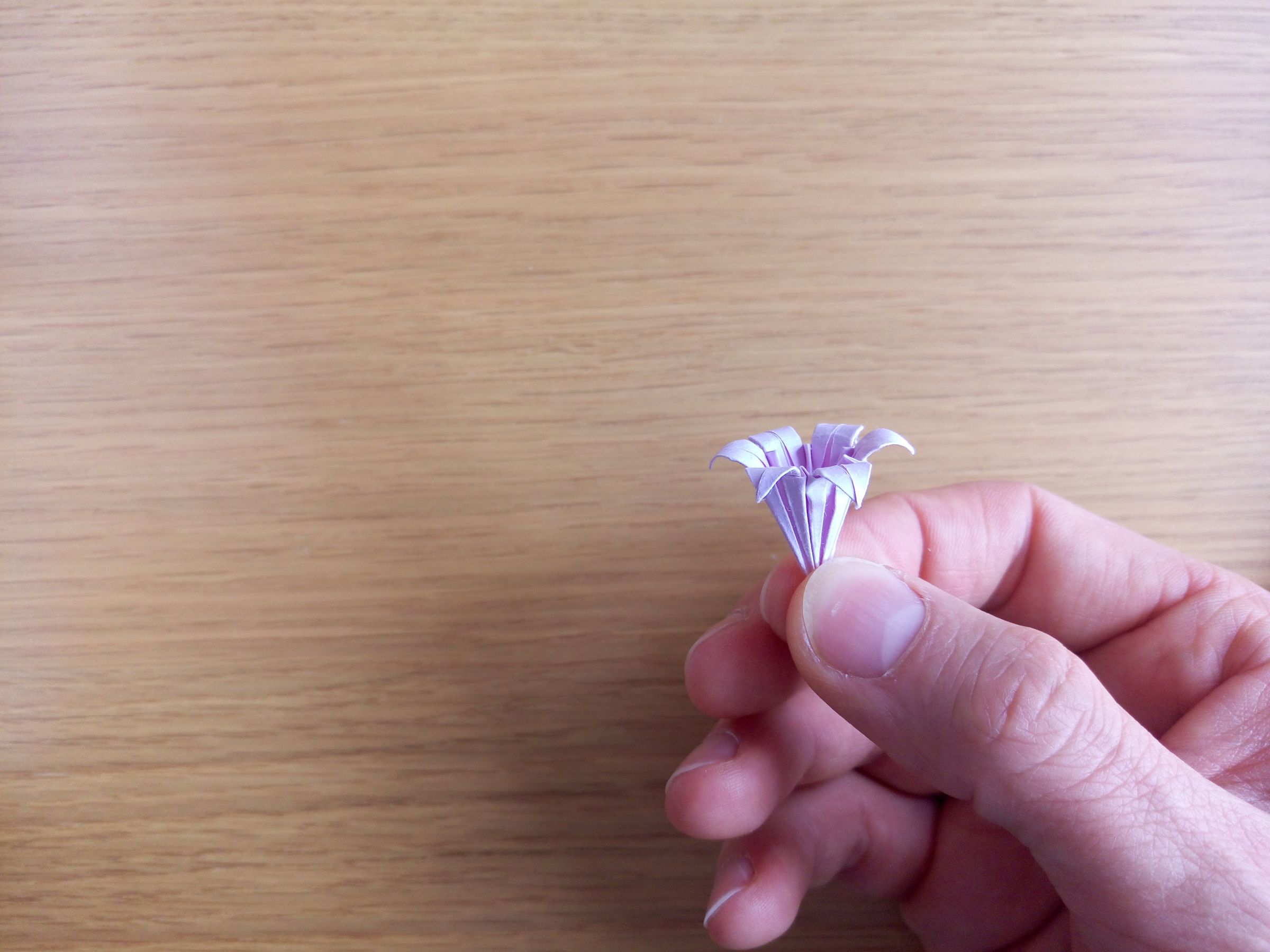 Origami Hyacinth : 9 Steps (with Pictures) - Instructables