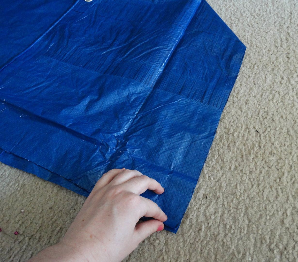 Raising Giant Silk Moths : 15 Steps (with Pictures) - Instructables