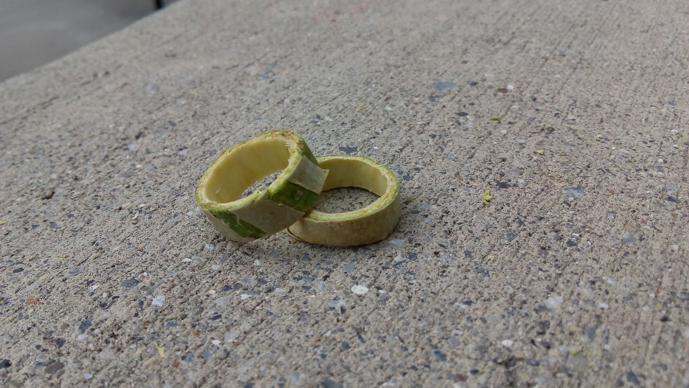 Tree Bark Rings : 5 Steps (with Pictures) - Instructables