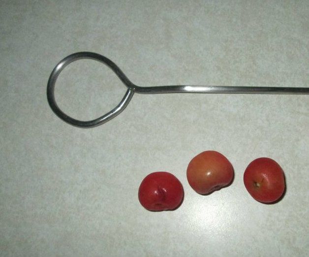 Easy Cherry Pitting Tool : 5 Steps (with Pictures) - Instructables