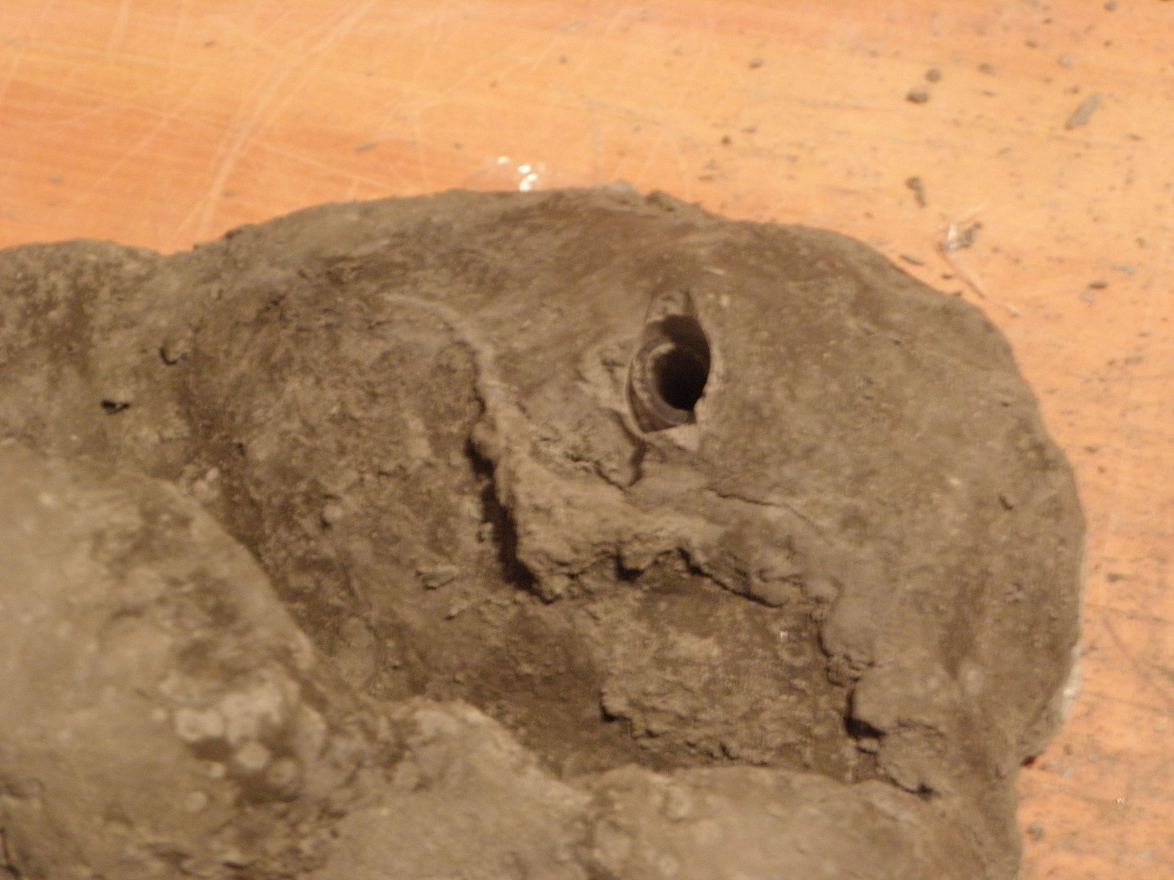 Terrarium / Vivarium Waterproof Rock Work for Frogs and Amphibians : 10 ...