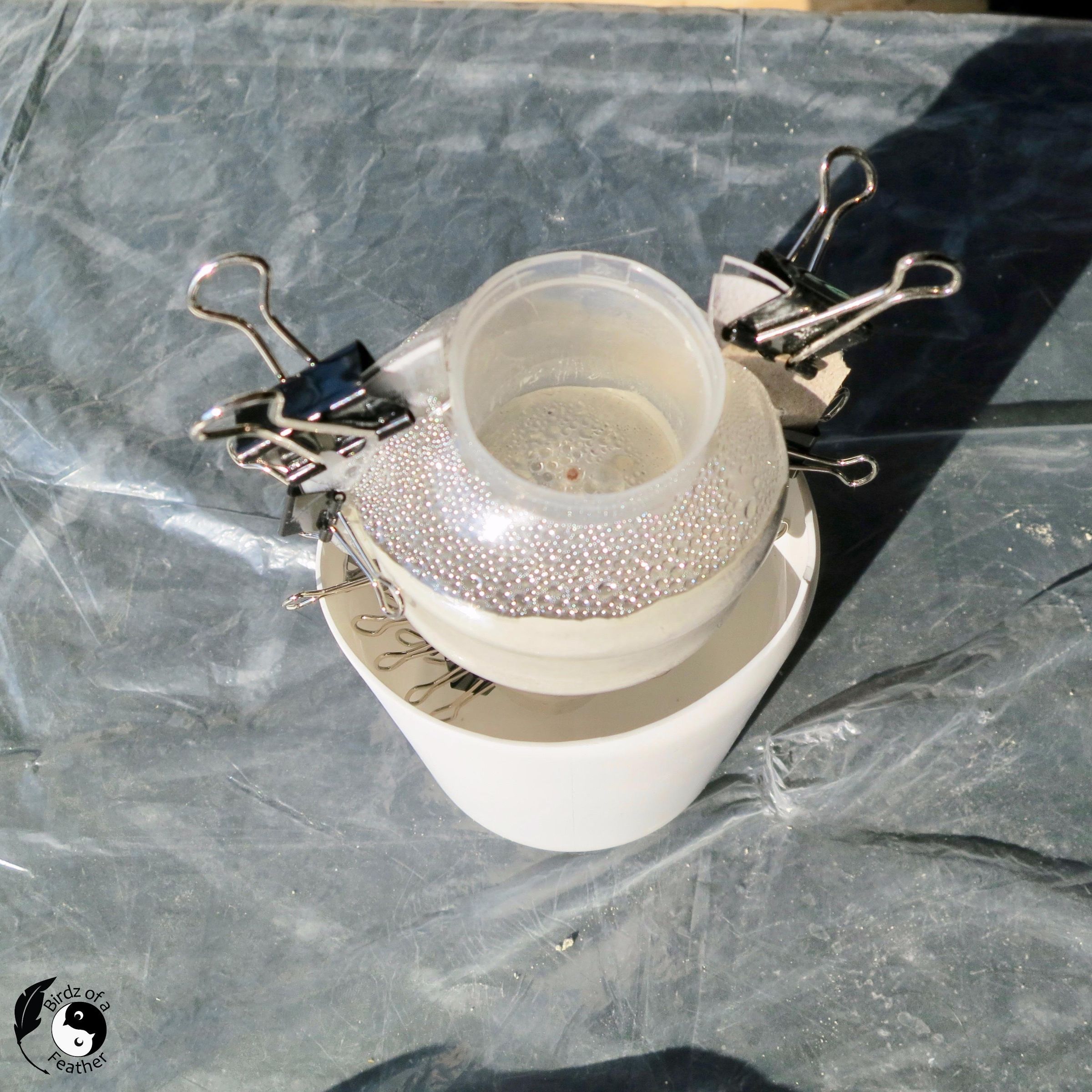 How to Make a Lightbulb Planter From Plastic Packaging! : 9 Steps (with ...