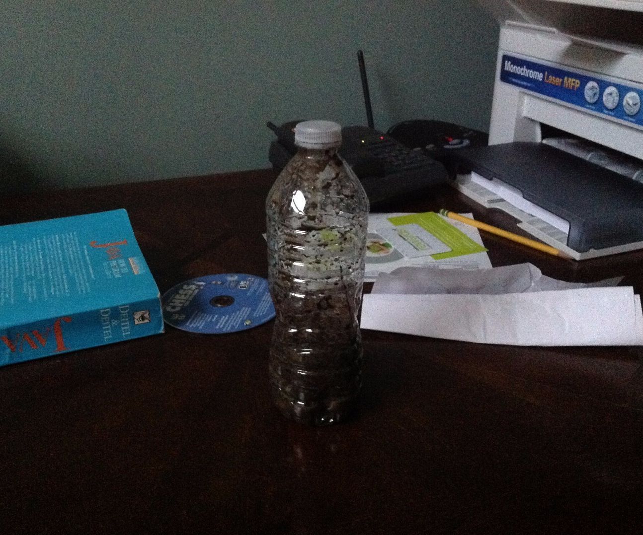 Water Bottle Terrarium : 5 Steps - Instructables