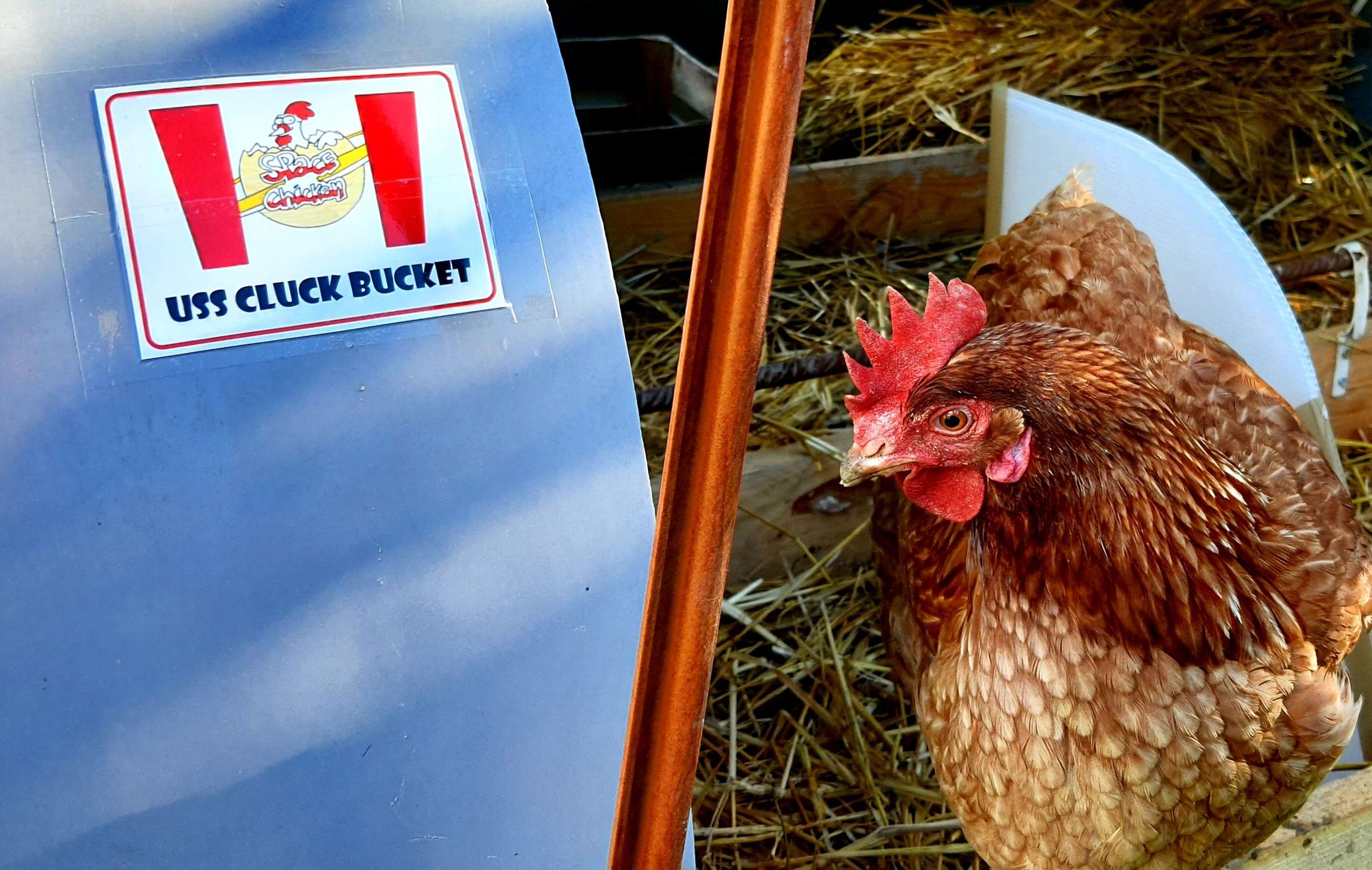 Space Chicken Spaceship Chicken Coop : 12 Steps (with Pictures ...