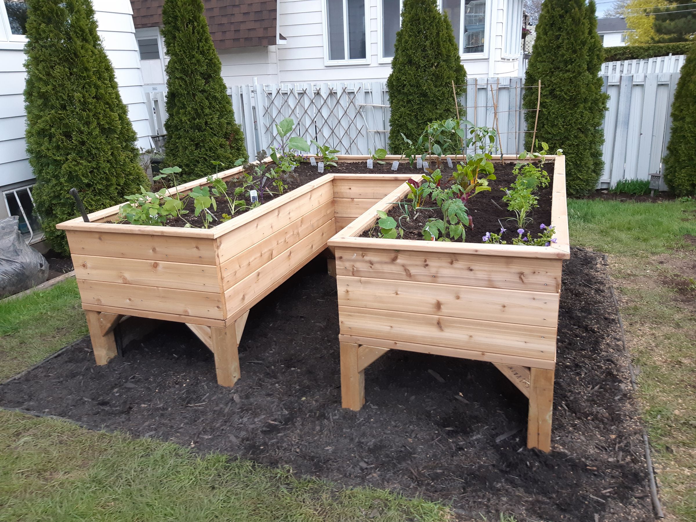 Save Your Back: U-shaped Cedar Raised Garden : 8 Steps (with Pictures) - Instructables
