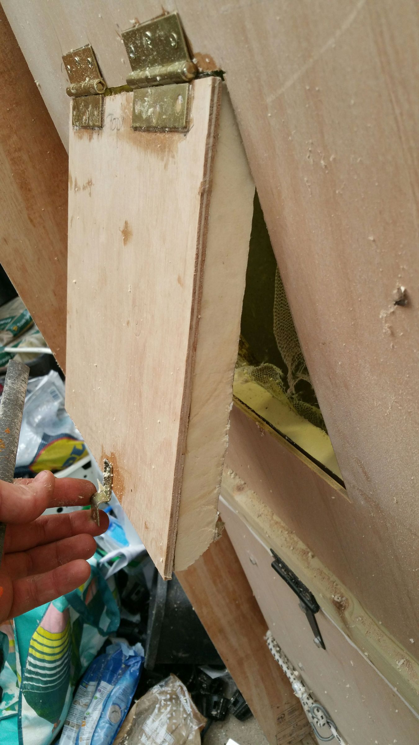 Fly Cage Black Soldier Fly Breeding UK. : 9 Steps (with Pictures ...