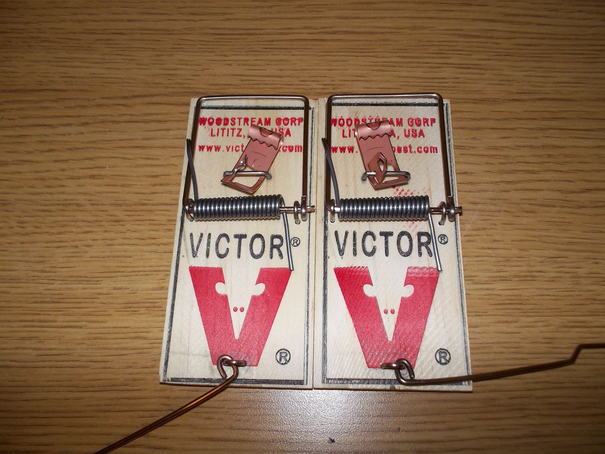 Long Distance Mousetrap Car : 16 Steps - Instructables