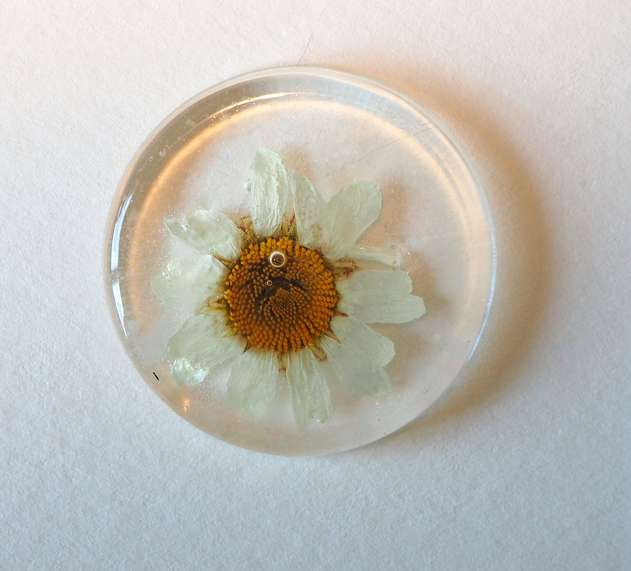 Techniques to Embed Flowers in Resin : 12 Steps (with Pictures ...